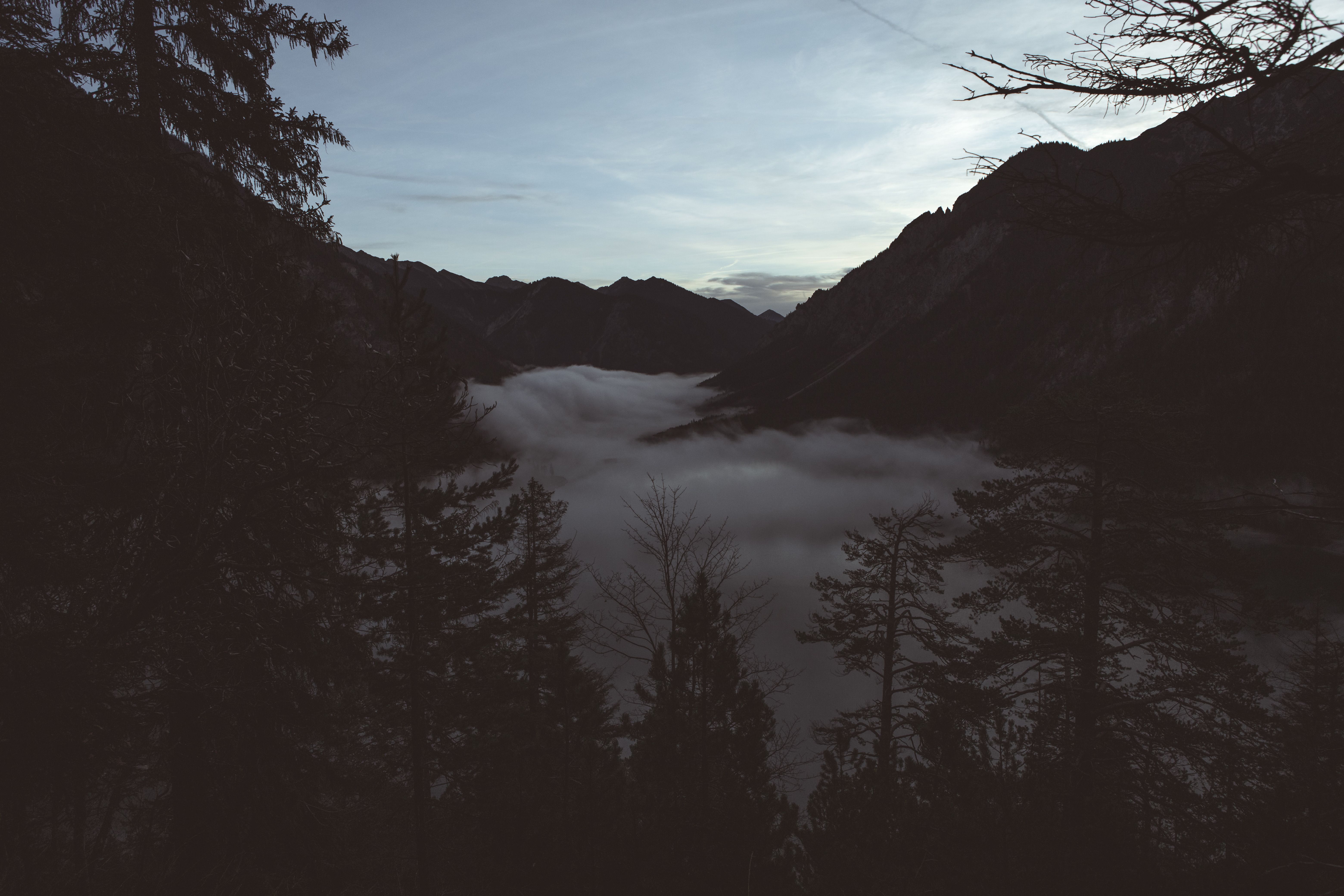 Fog in Valley at Dawn · Free Stock Photo