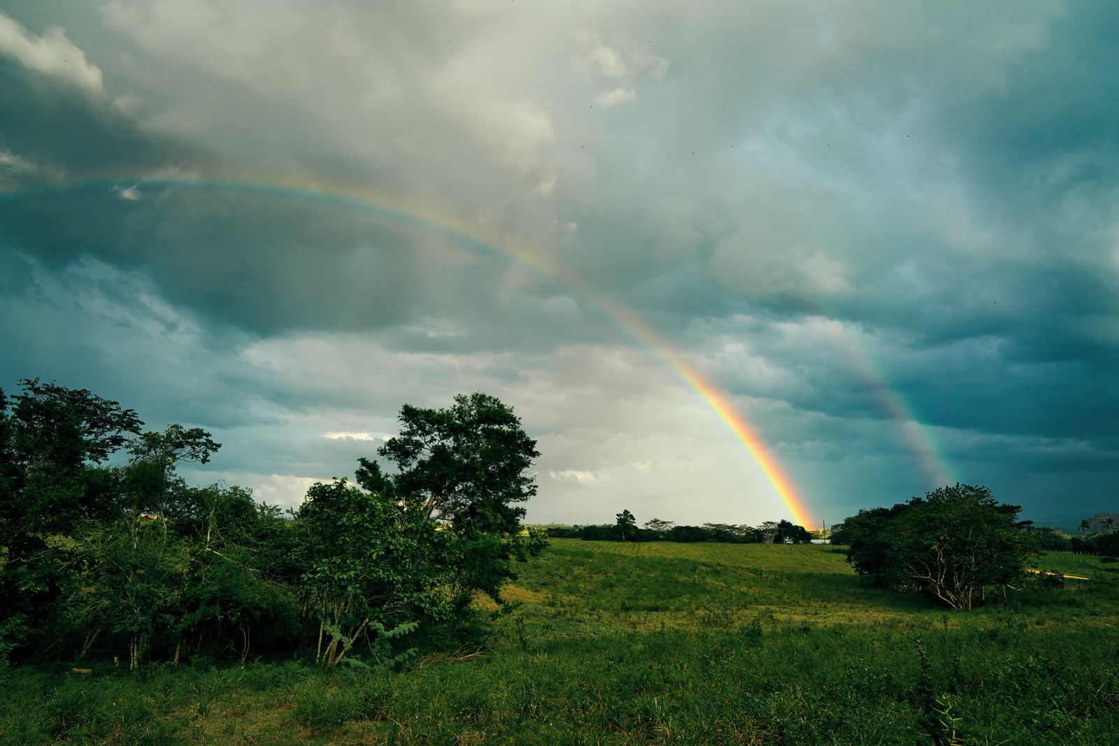 Rainbow In Nature Photos, Download The BEST Free Rainbow In Nature ...