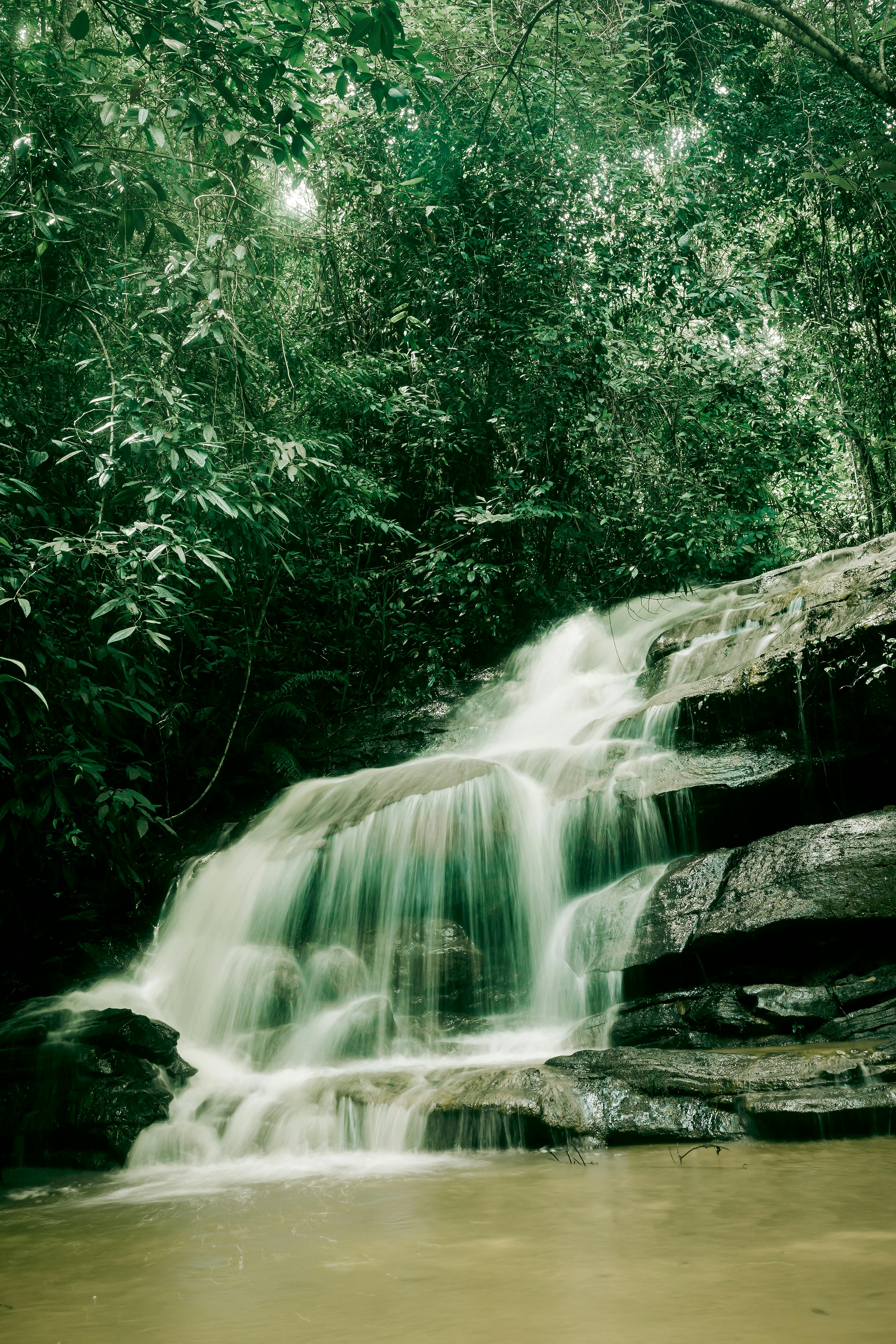 Rocky Cascade in Forest · Free Stock Photo