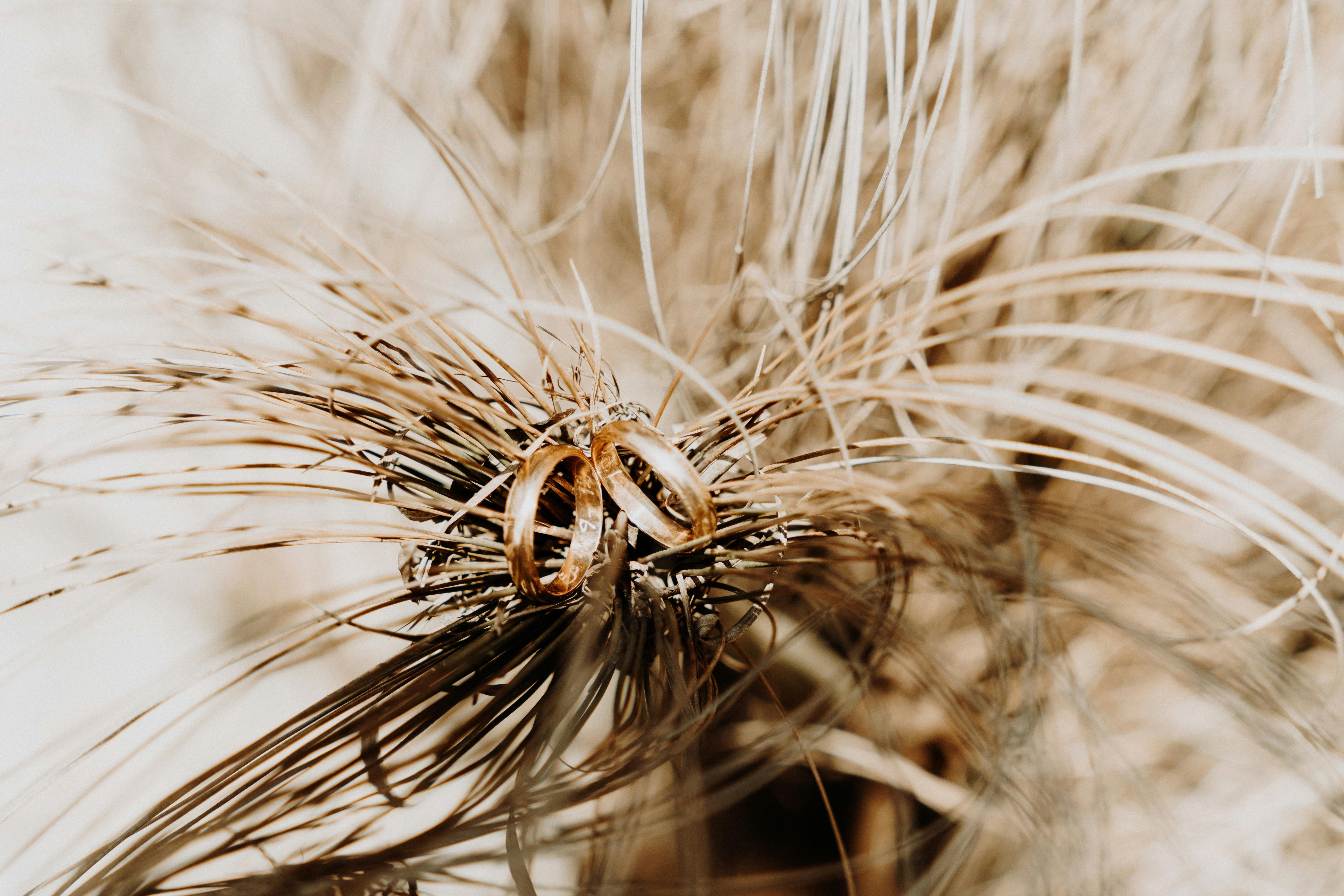 Bright Straw in Close-up View · Free Stock Photo