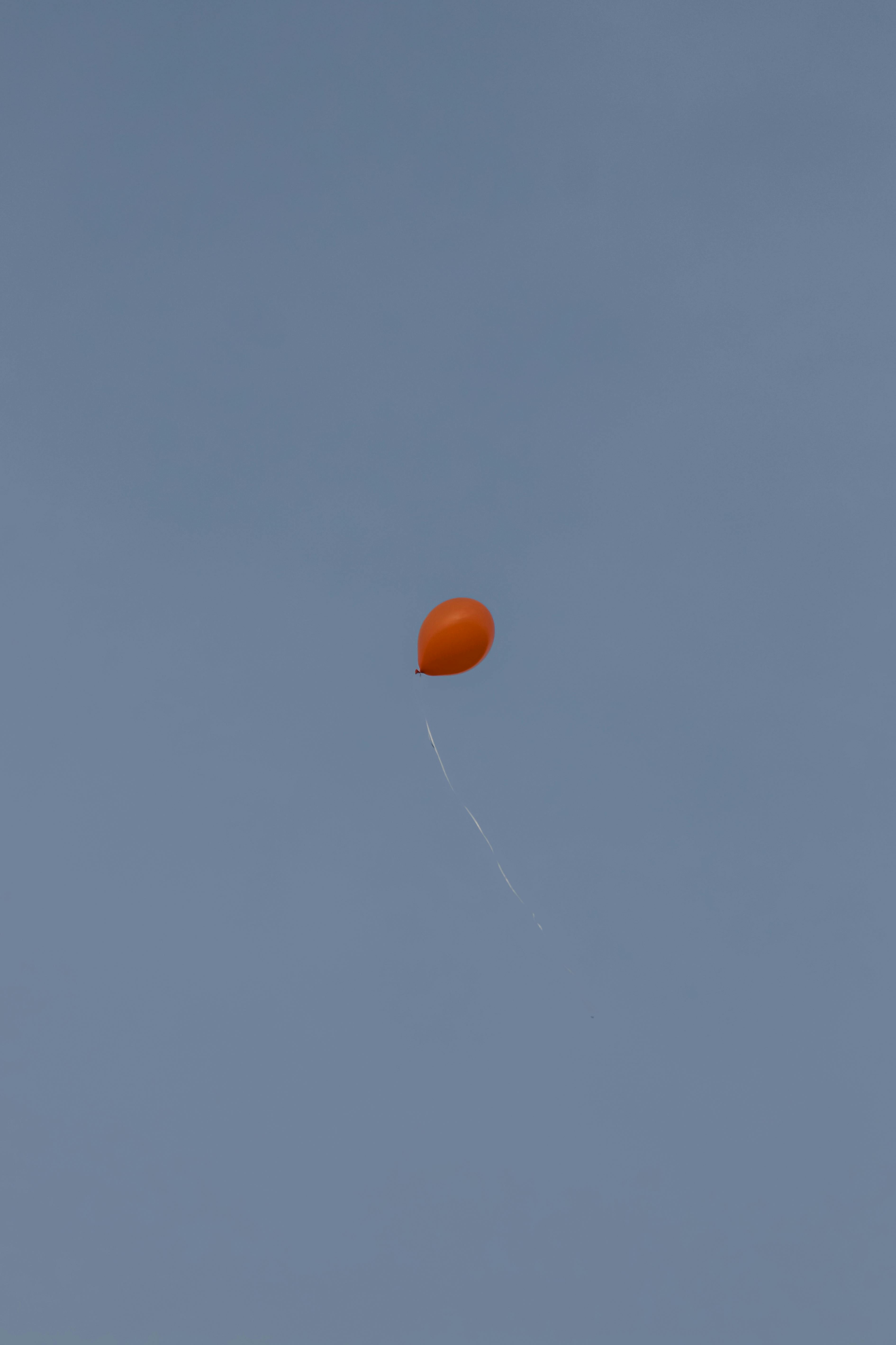 Balloon in Air · Free Stock Photo
