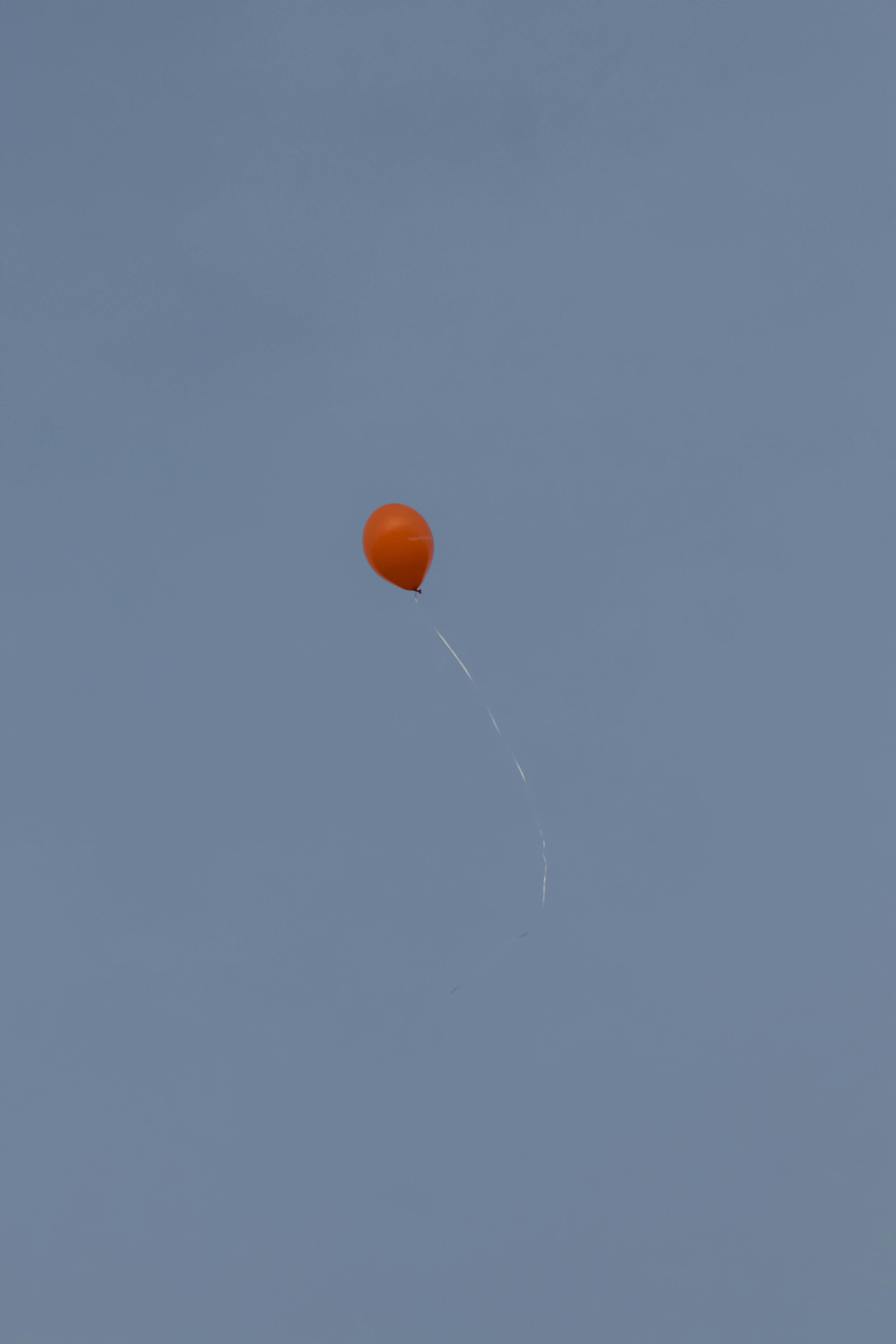 String Light Under Clear Sky · Free Stock Photo