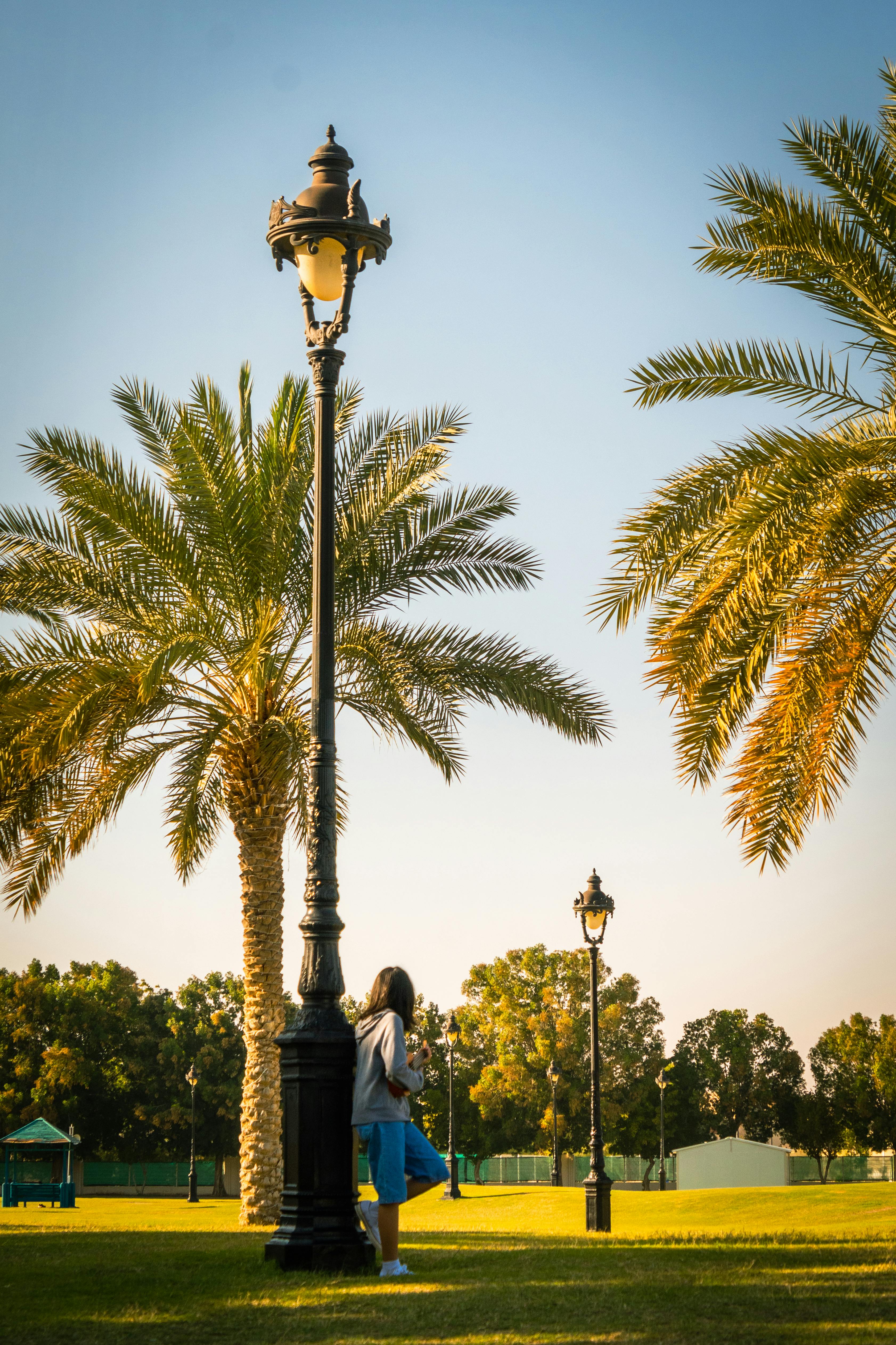 Brunette Woman Standing Near Lamps in Garden · Free Stock Photo