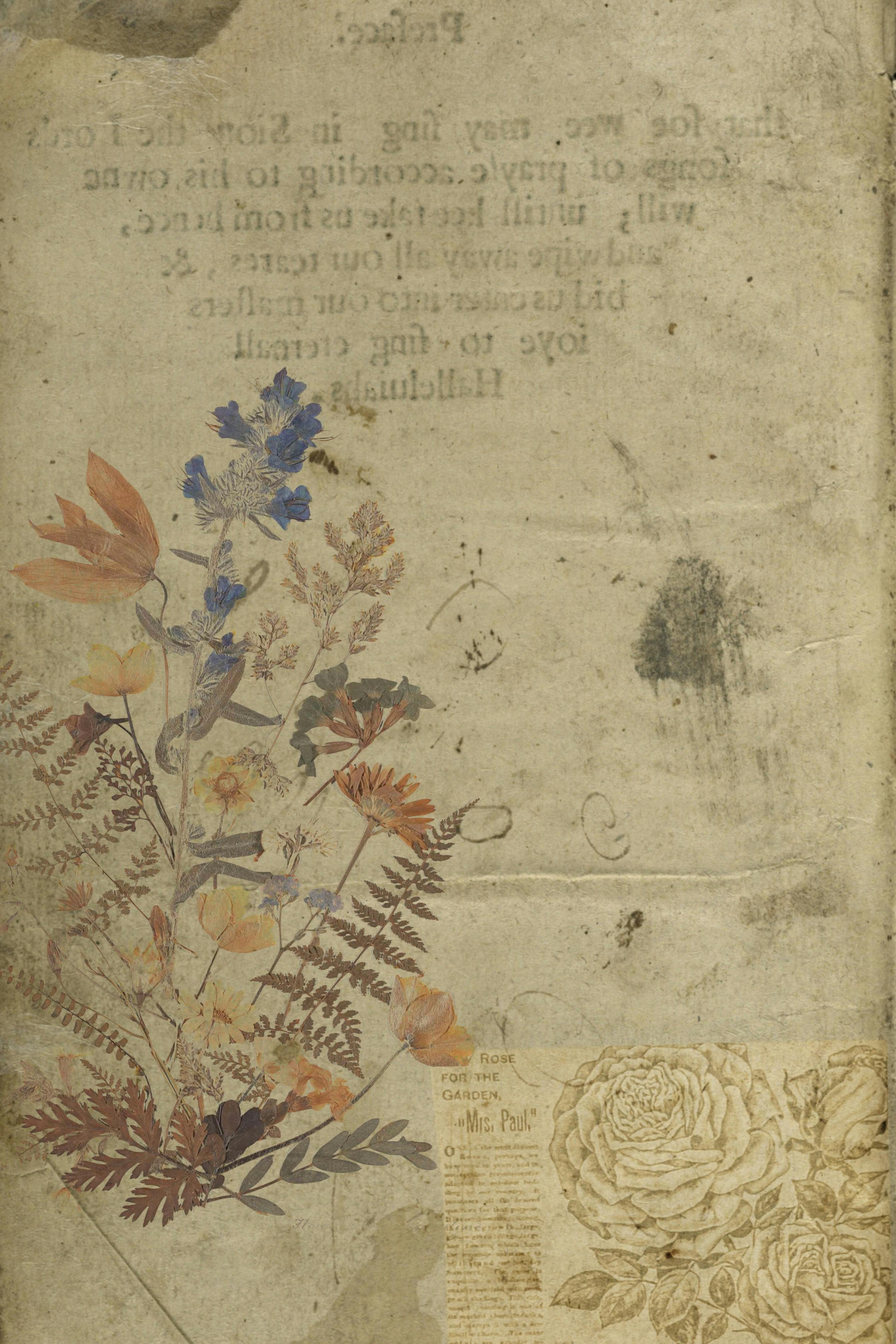 Vintage Art Photos, Download The BEST Free Vintage Art Stock Photos ...