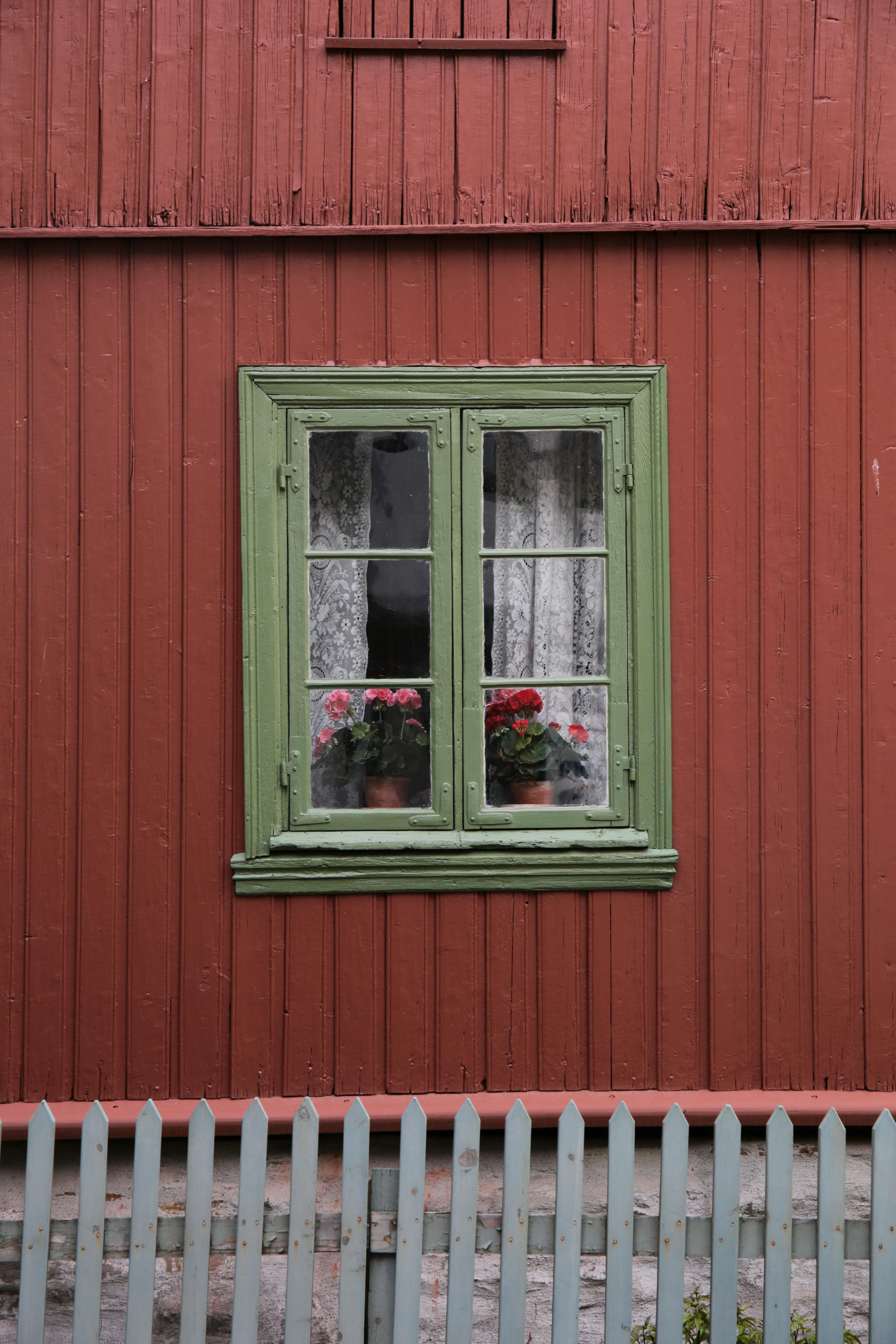 Windows on Red Wall · Free Stock Photo