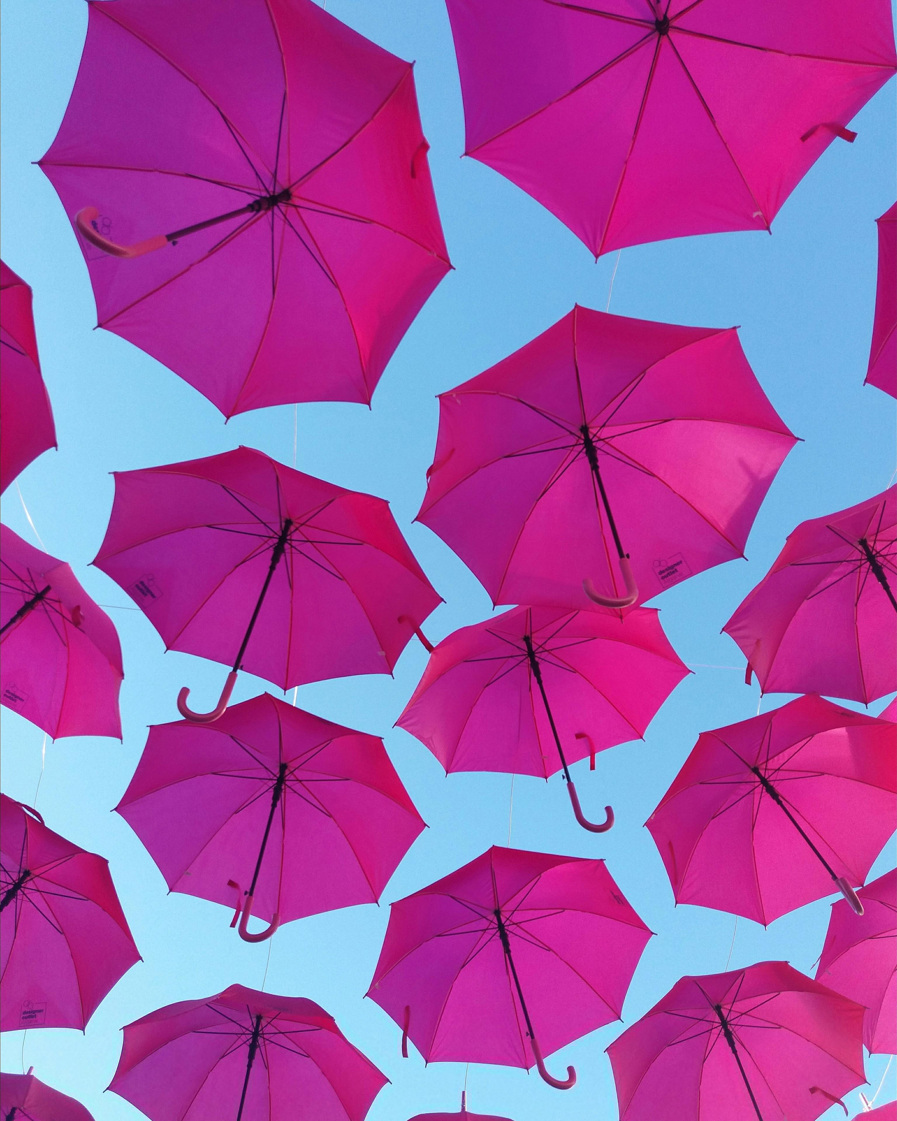 Pink Umbrellas in Air · Free Stock Photo