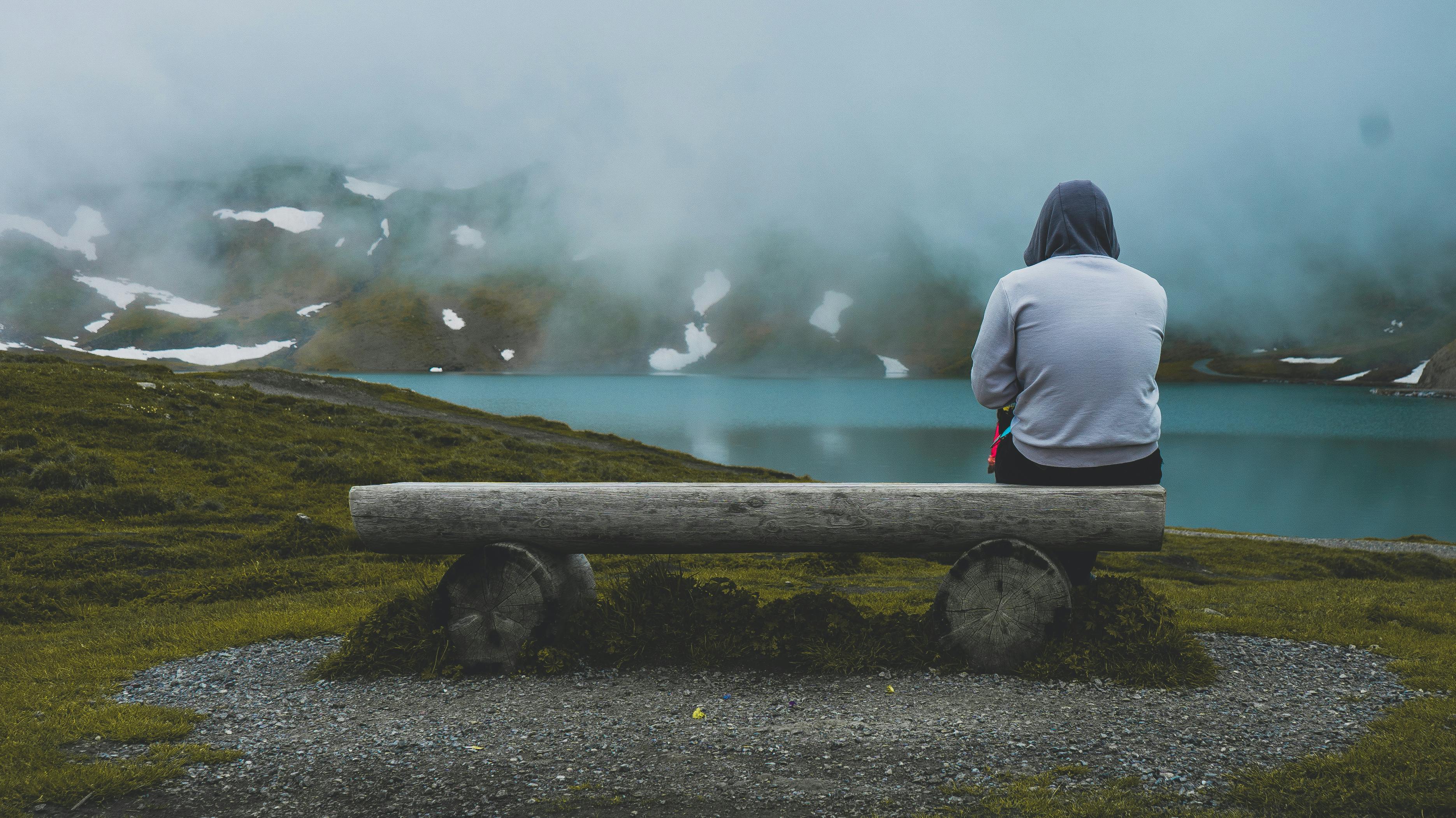 Persoon Zittend Op Bankje Onder Boom · Gratis stockfoto