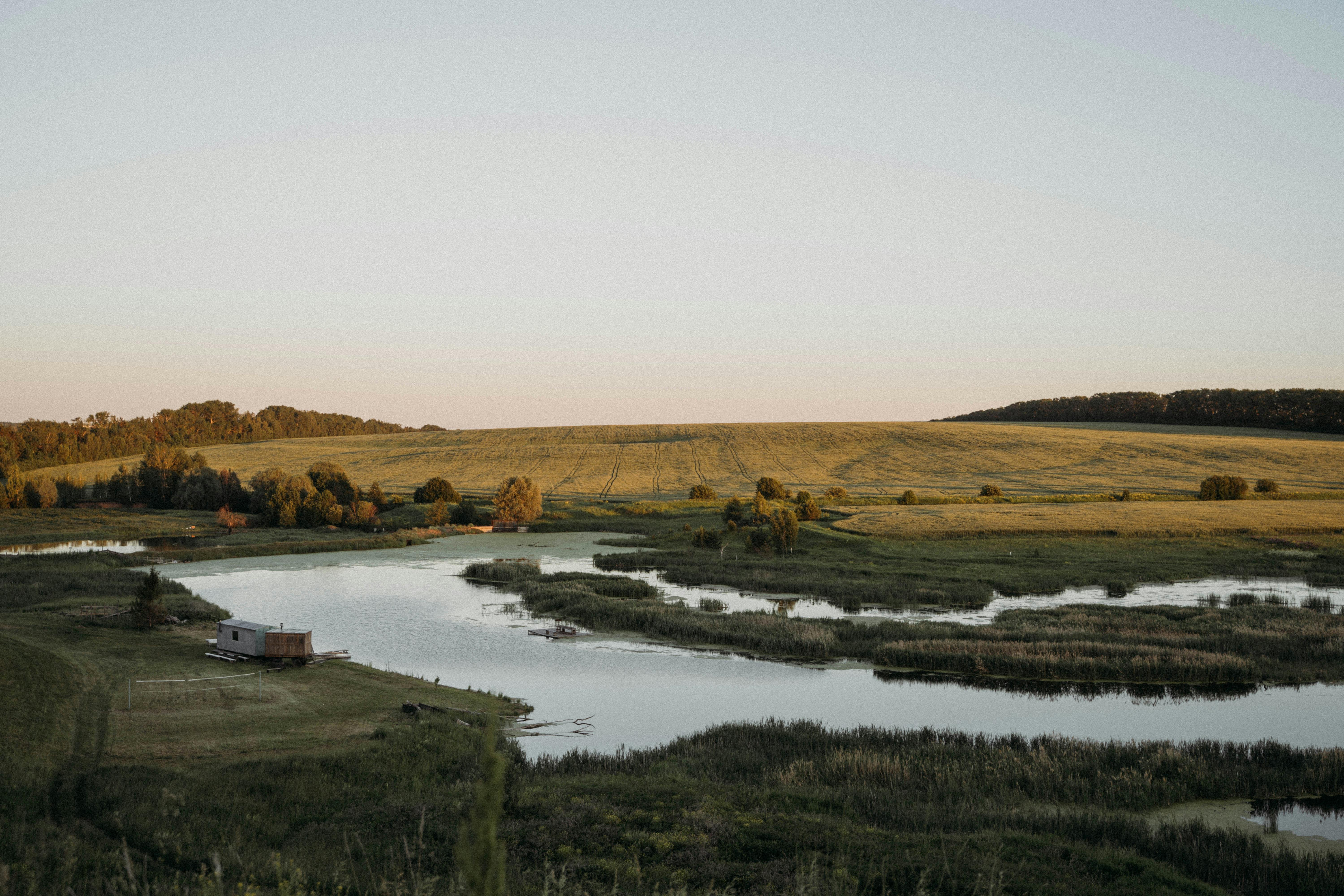 Swamp Plains Photos, Download The BEST Free Swamp Plains Stock Photos ...