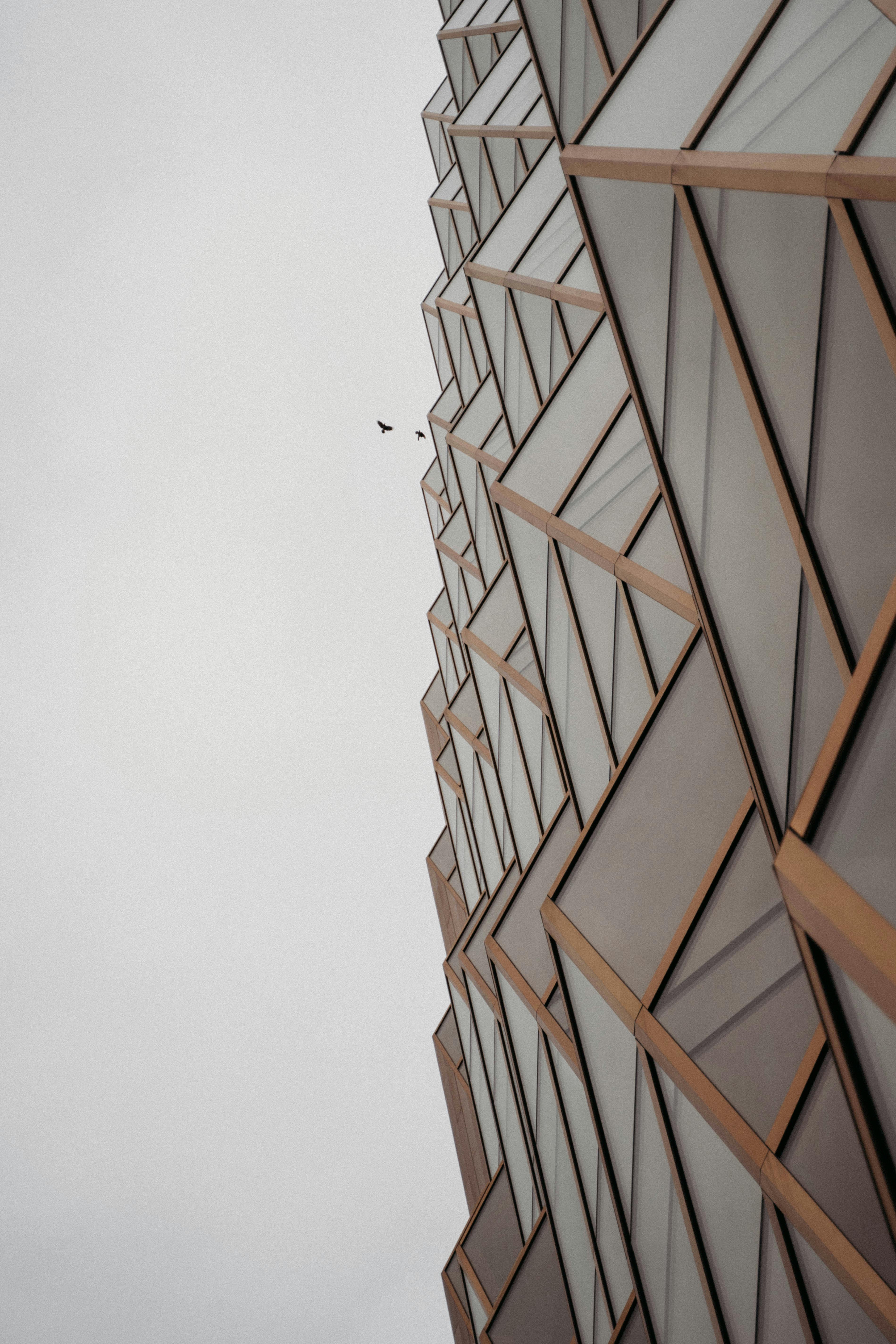 Birds Flying over Columns on Building Wall · Free Stock Photo