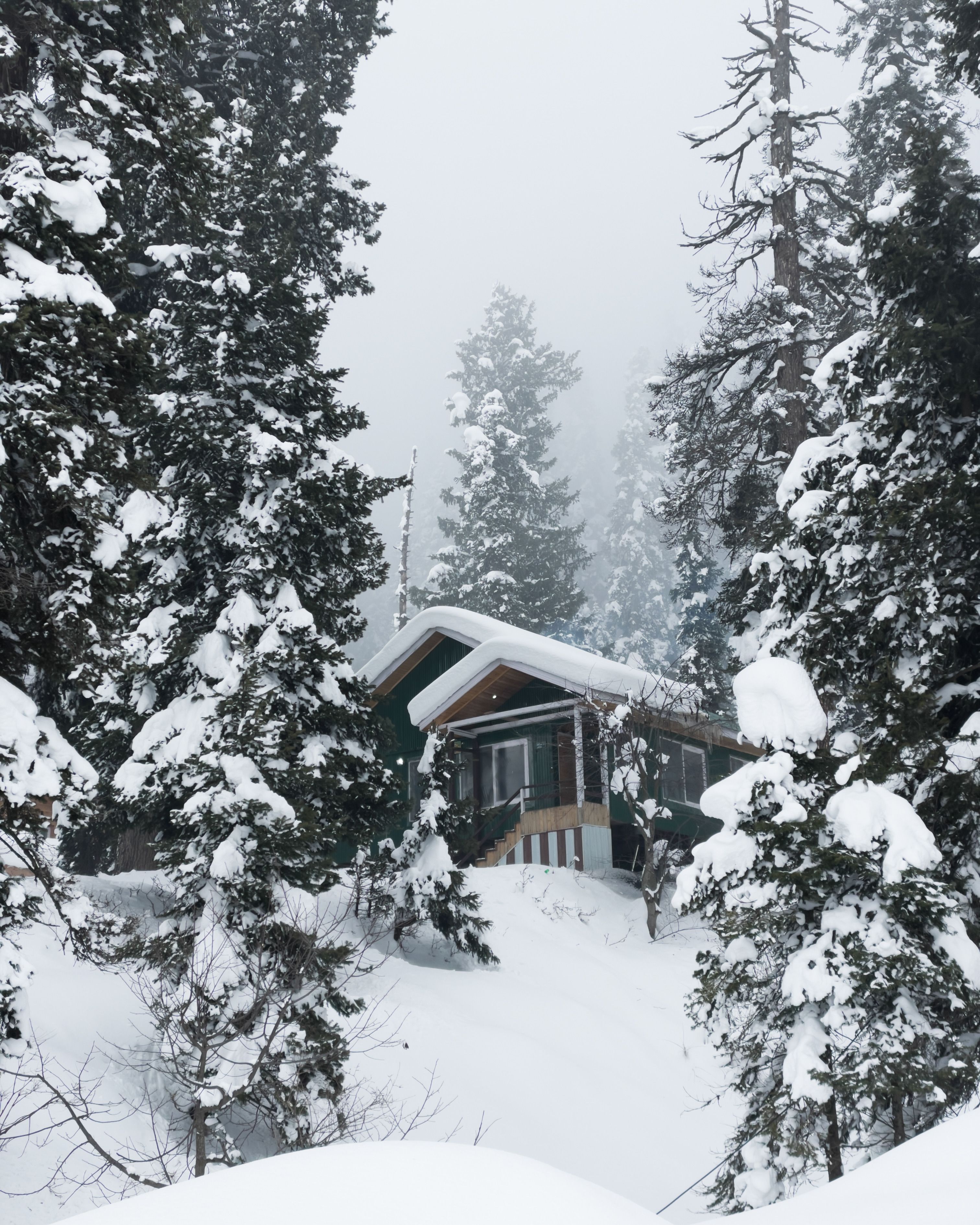 Winter landscape with wooden cottage in snowy forest · Free Stock Photo