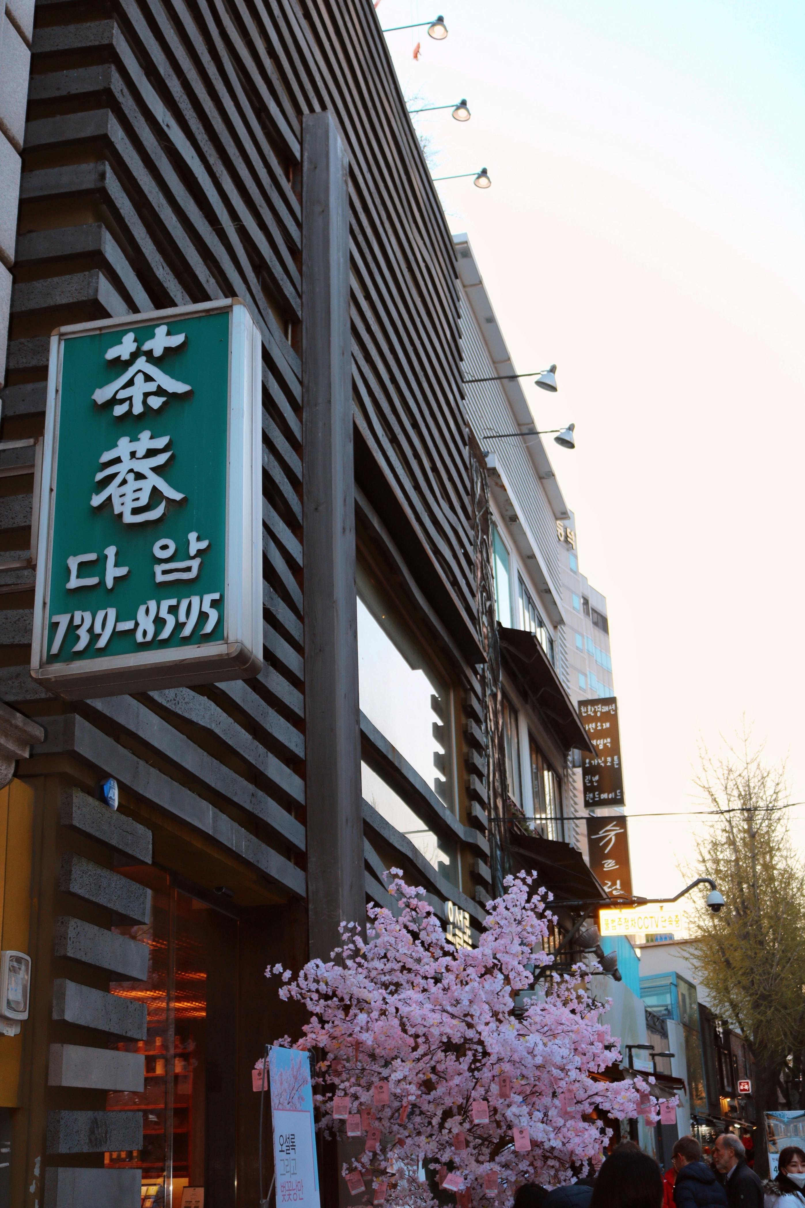 Red Light over Buildings Walls · Free Stock Photo