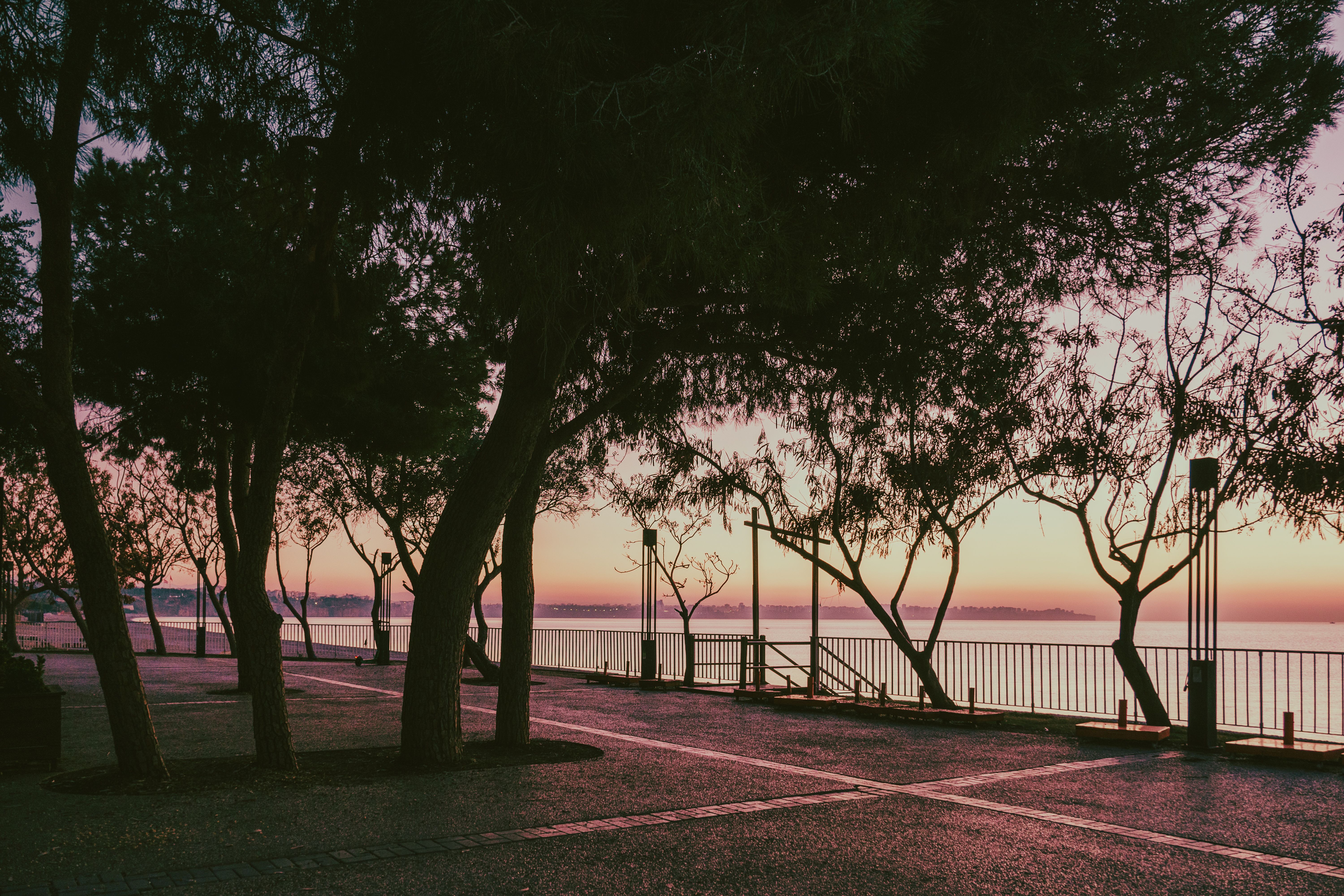 Promenade on Shore at Sunset · Free Stock Photo