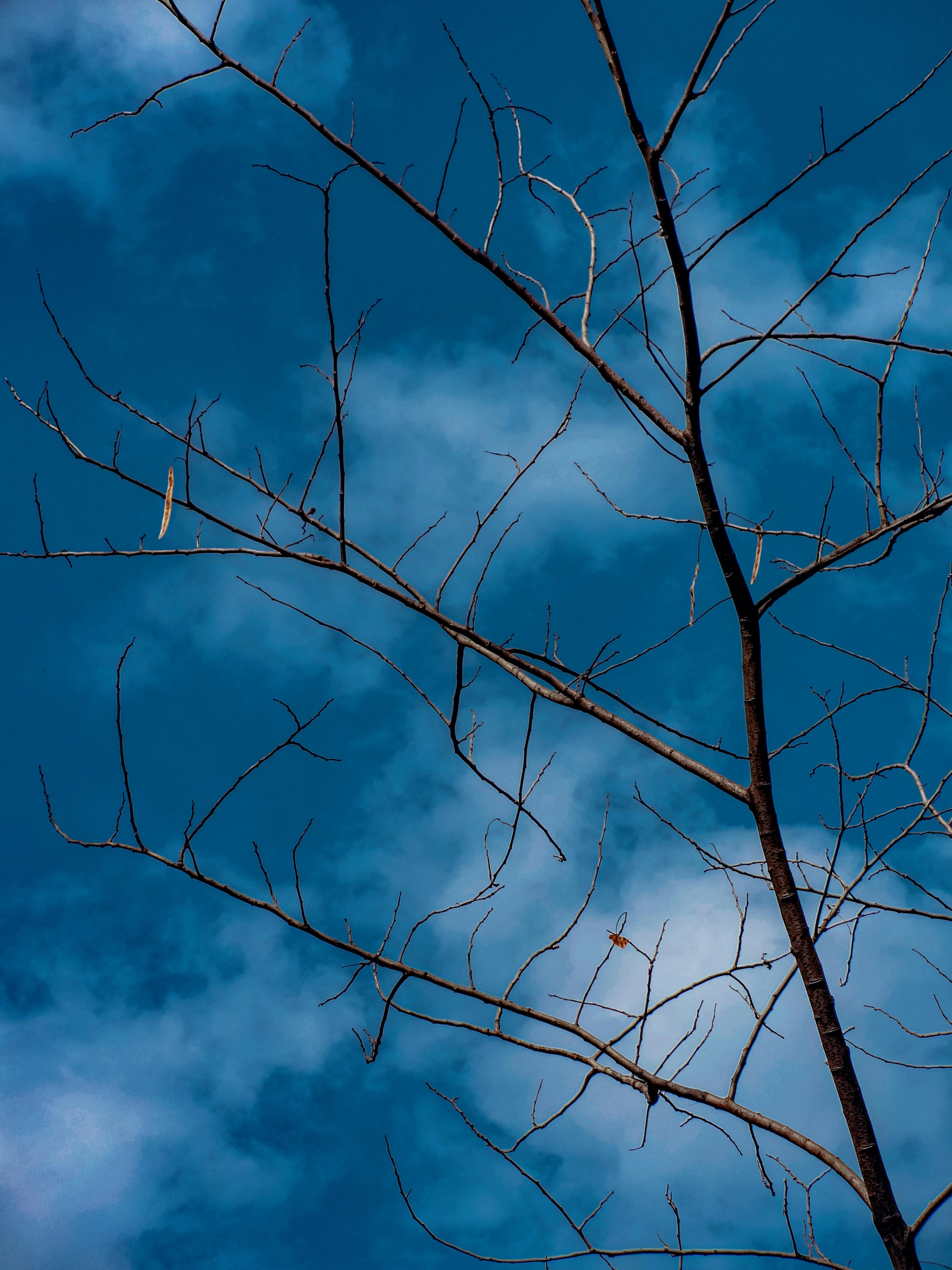 Sky Backgroung Photos, Download The BEST Free Sky Backgroung Stock ...