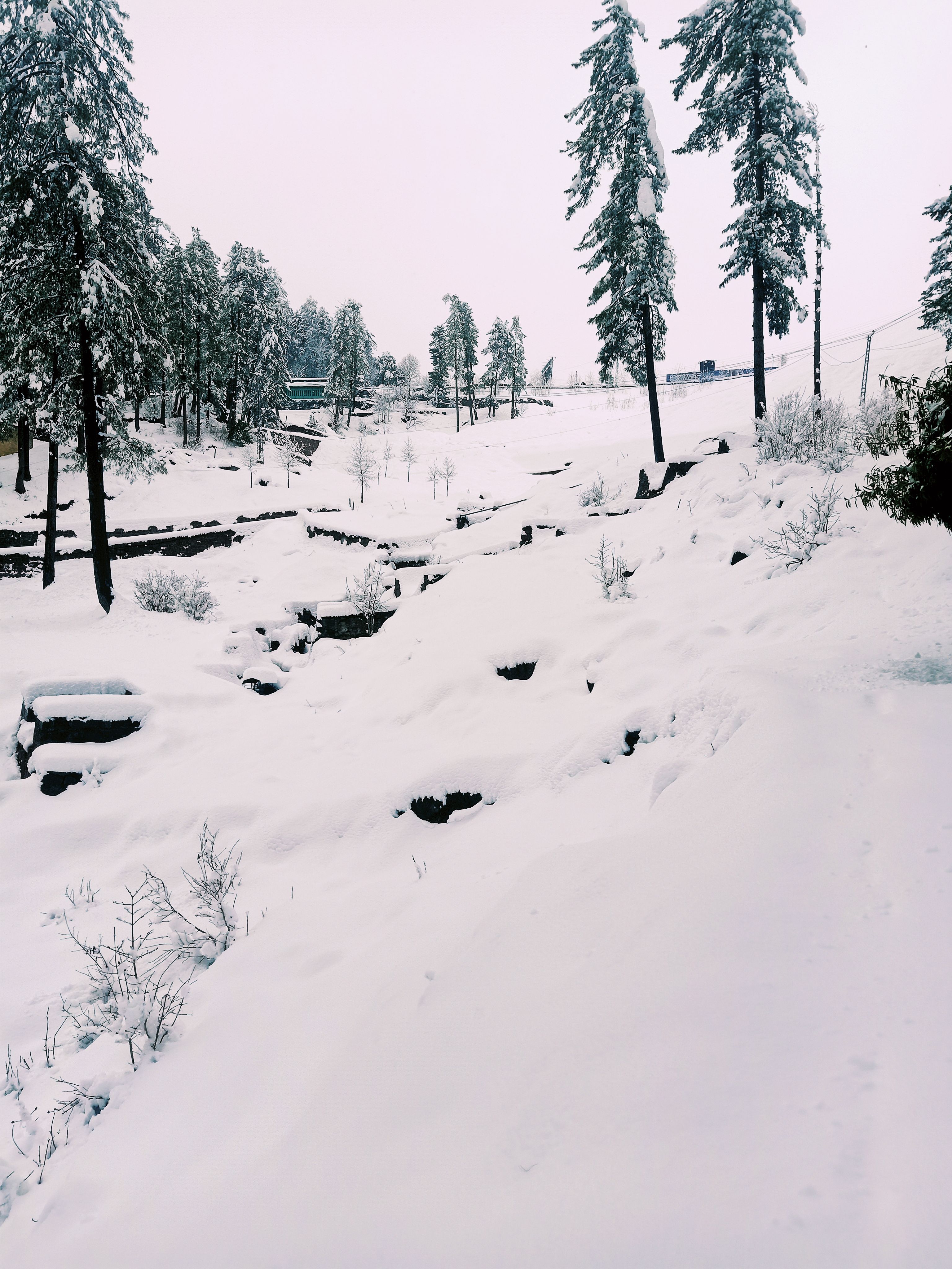 Snowed Landscape in Winter · Free Stock Photo