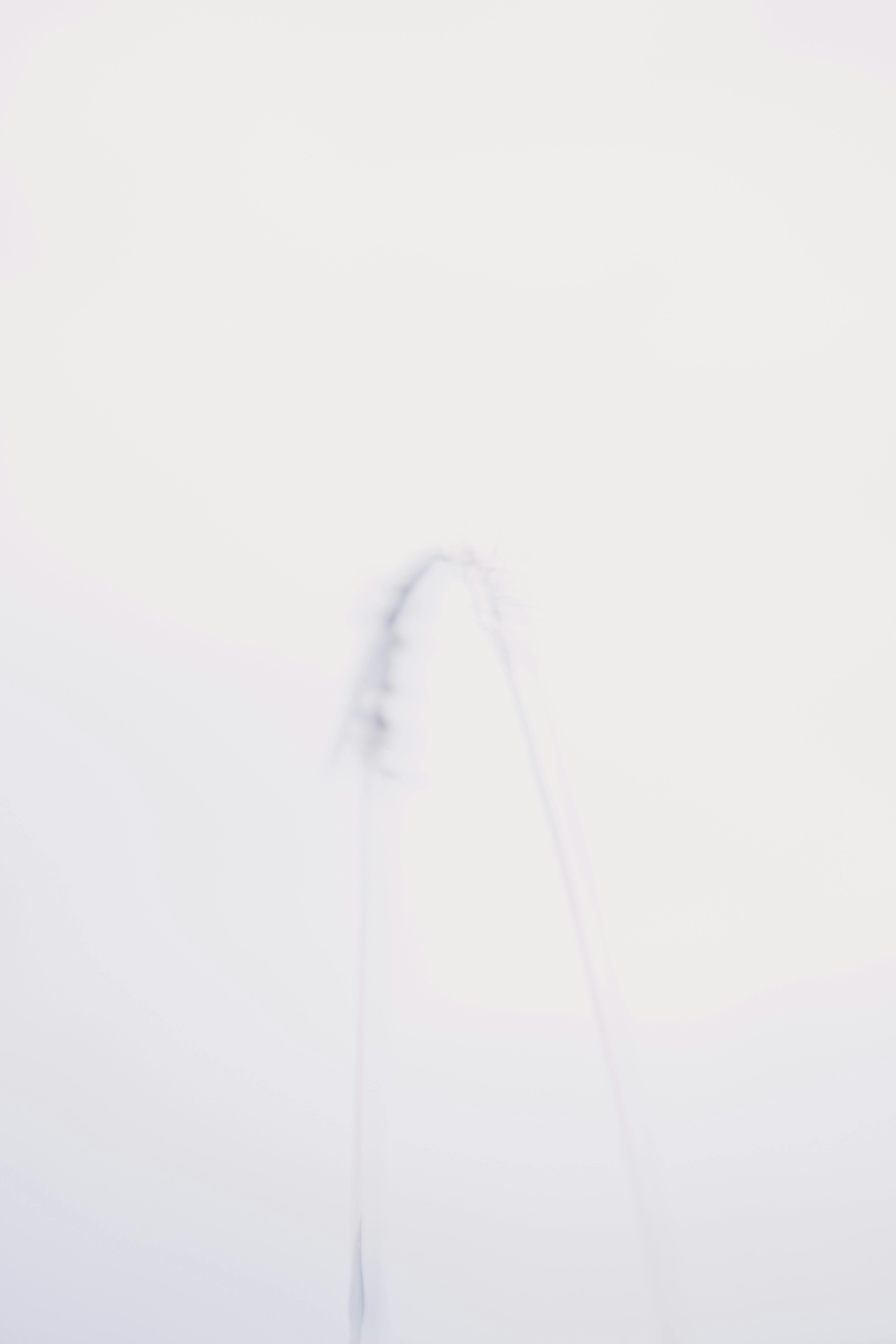 Faint Background Photos, Download The BEST Free Faint Background Stock ...