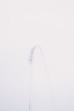 Faint Background Photos, Download The BEST Free Faint Background Stock ...