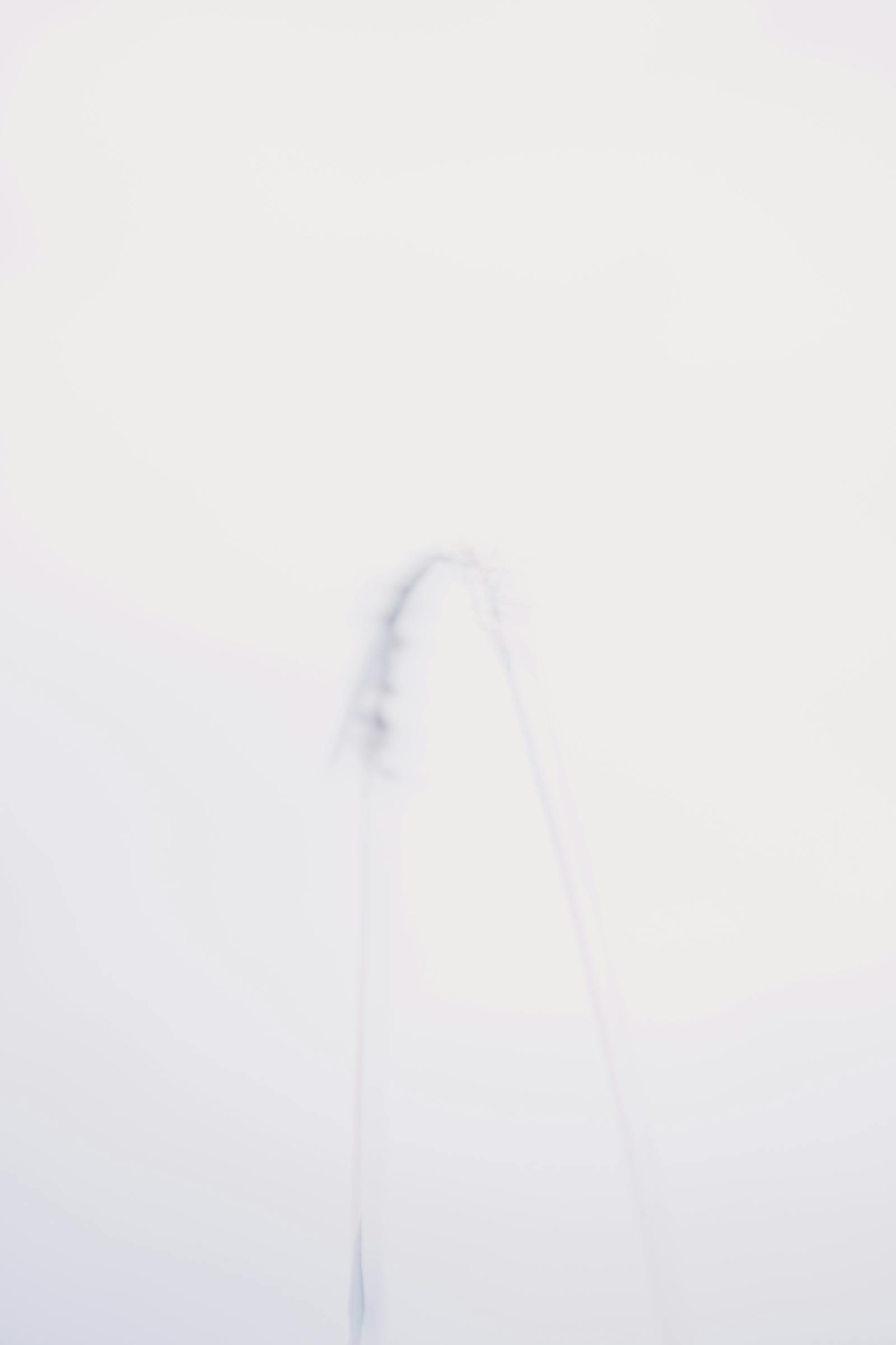 Faint Background Photos, Download The BEST Free Faint Background Stock ...