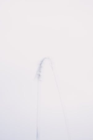 Faint Background Photos, Download The BEST Free Faint Background Stock ...