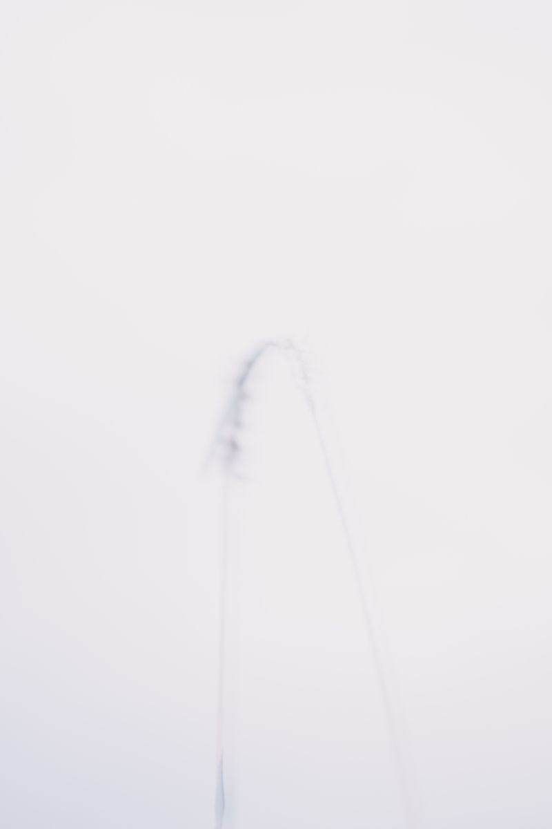 Faint Background Photos, Download The BEST Free Faint Background Stock ...