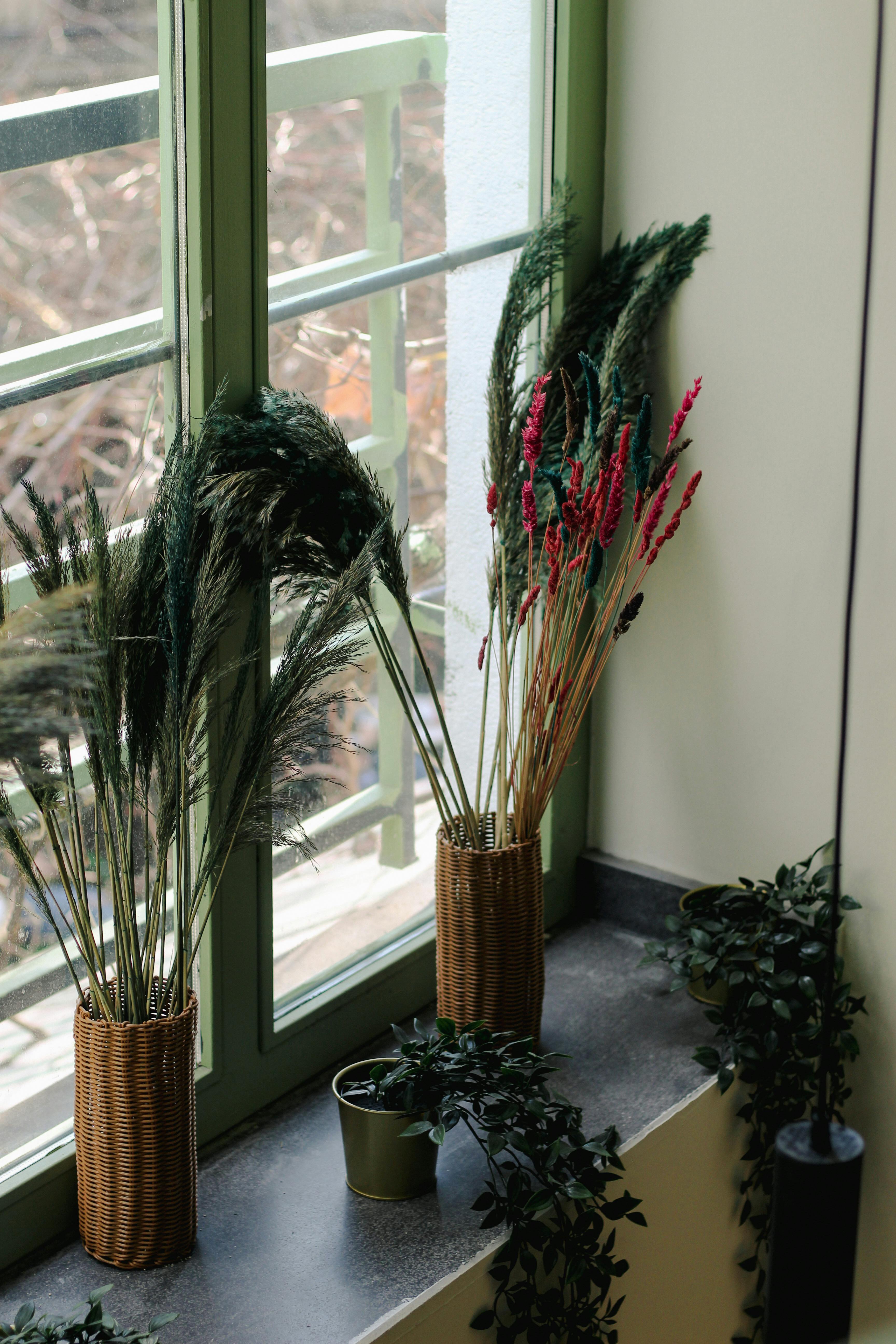 Plants Inside A Pot · Free Stock Photo