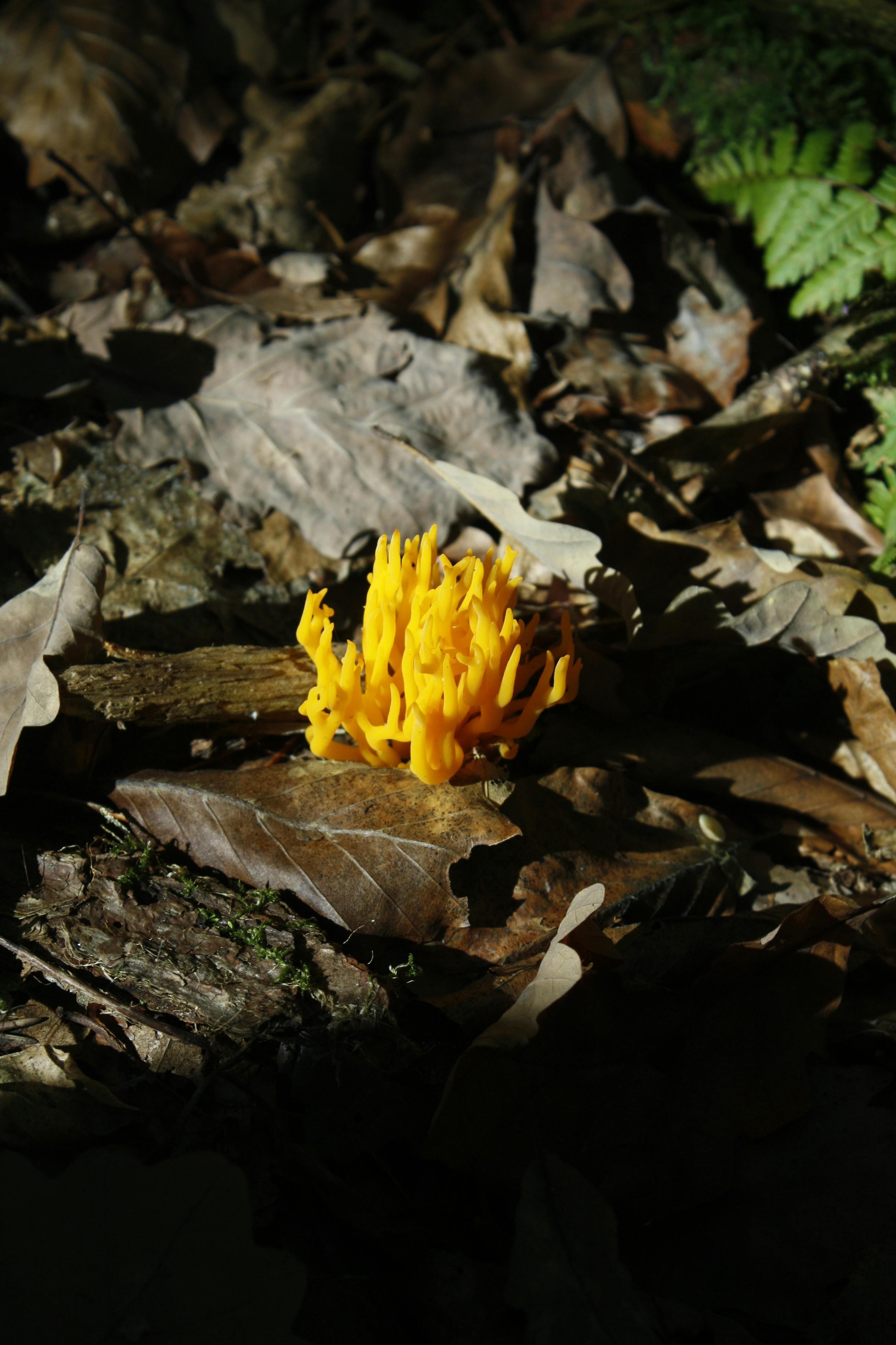 Sandra Li - Photography