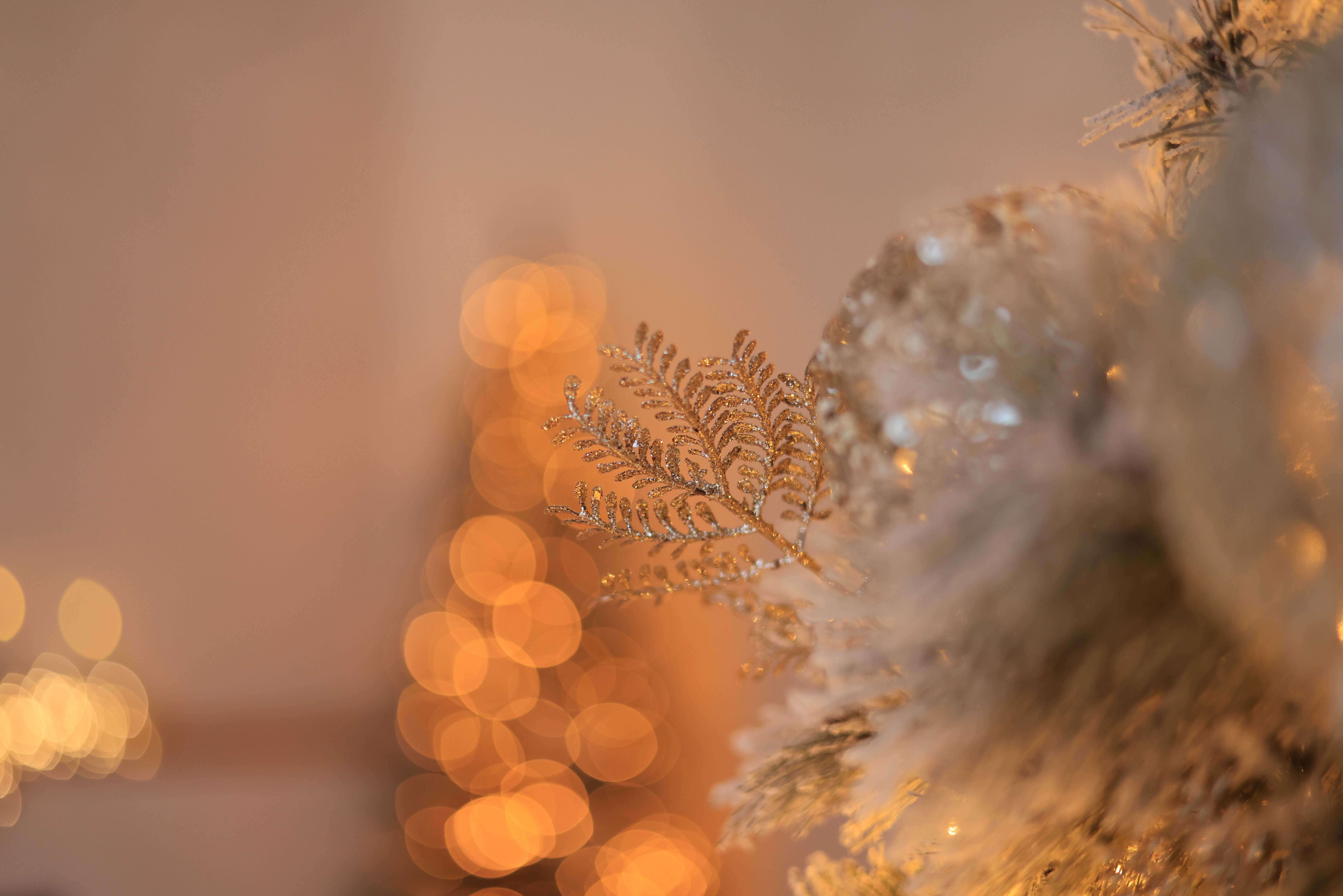 Close-up Photo of a Christmas Tree with Blurred Lights in the ...