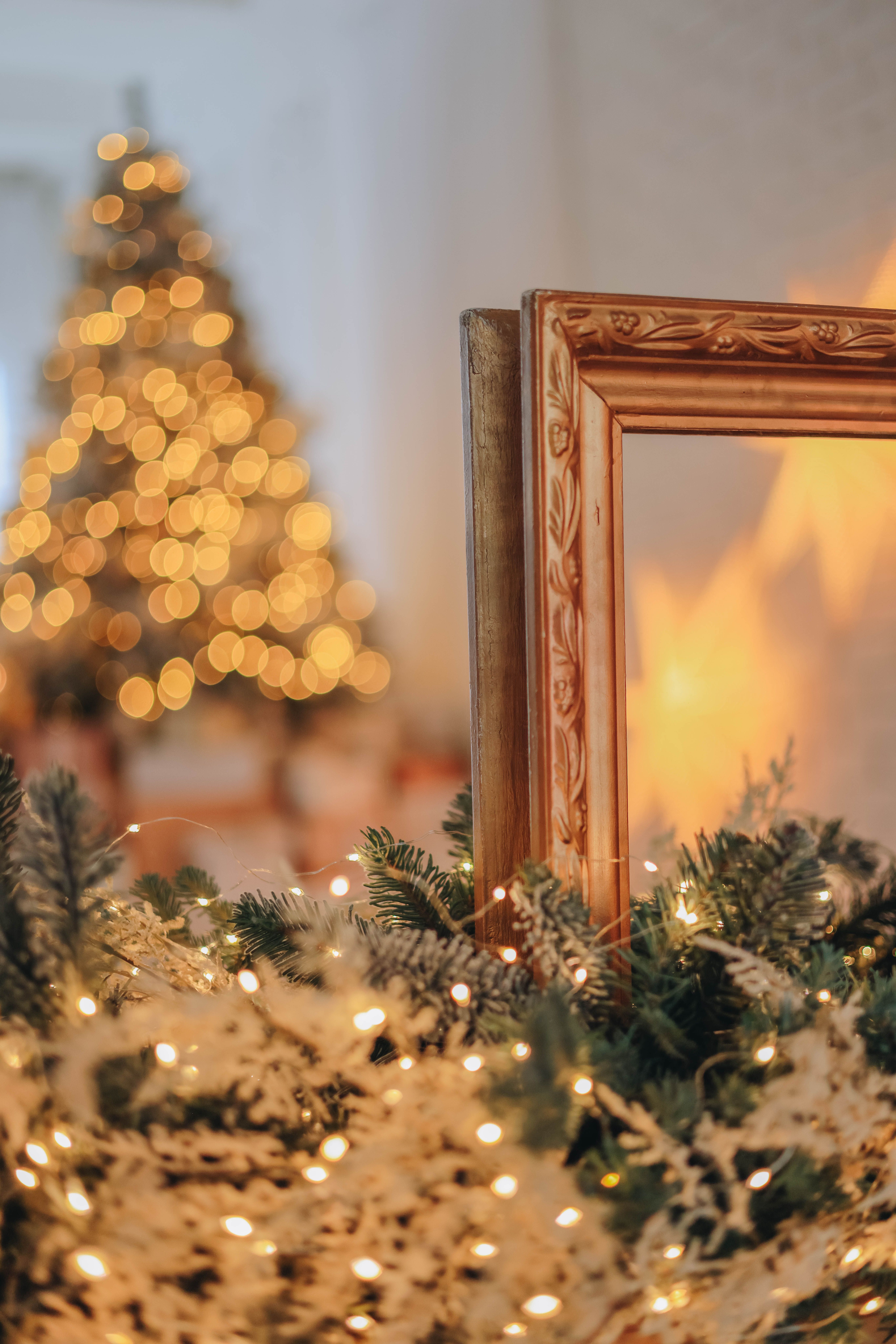 Christmas Lights on Christmas Tree · Free Stock Photo