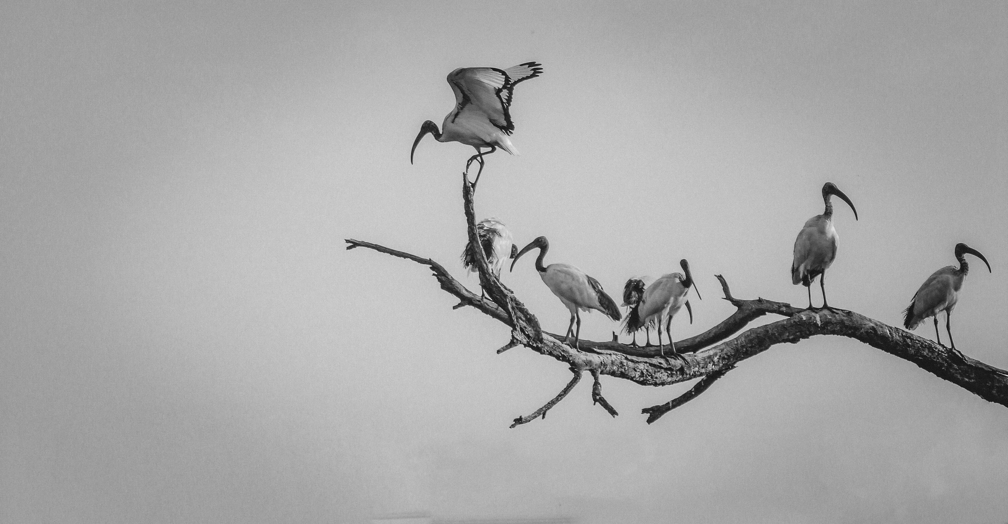 Burden Photos, Download The BEST Free Burden Stock Photos & HD Images