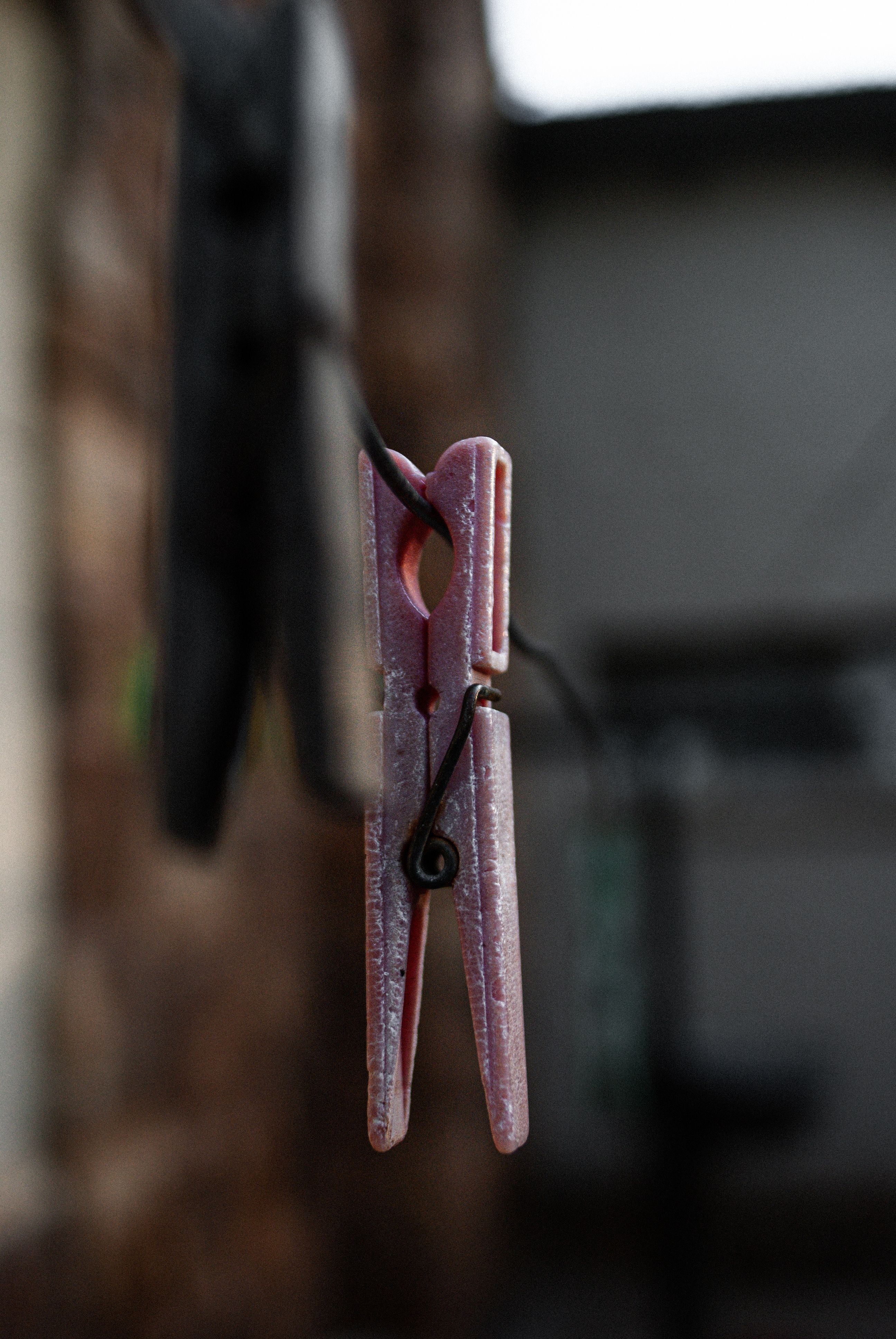 Peg Photos, Download The BEST Free Peg Stock Photos & HD Images