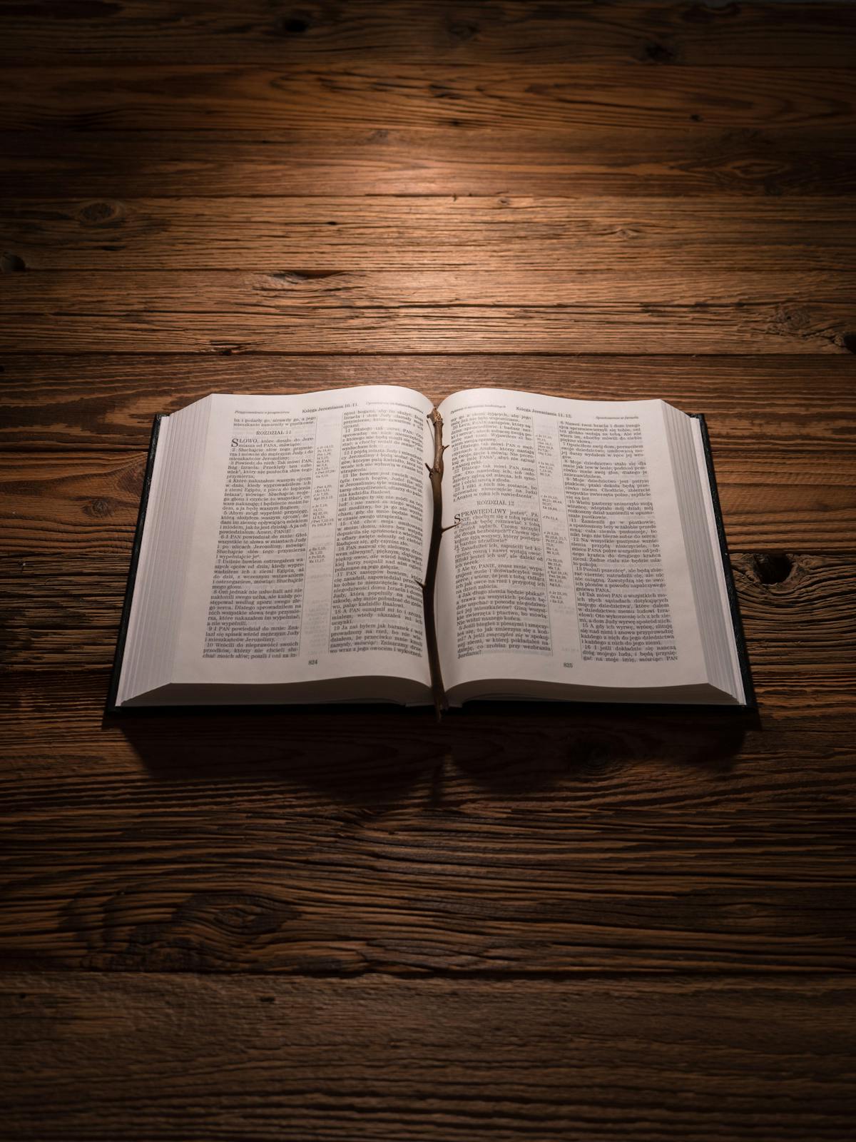 Bible Verses Photos, Download The BEST Free Bible Verses Stock Photos ...