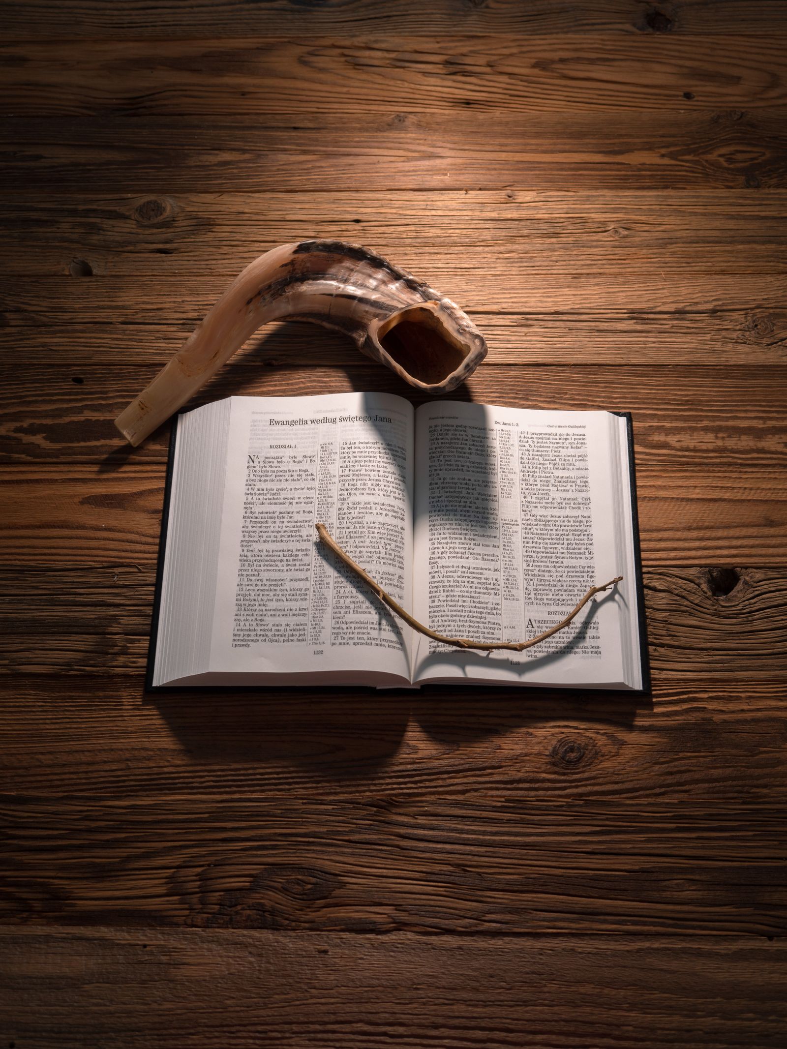 Shofar Photos, Download The BEST Free Shofar Stock Photos & HD Images