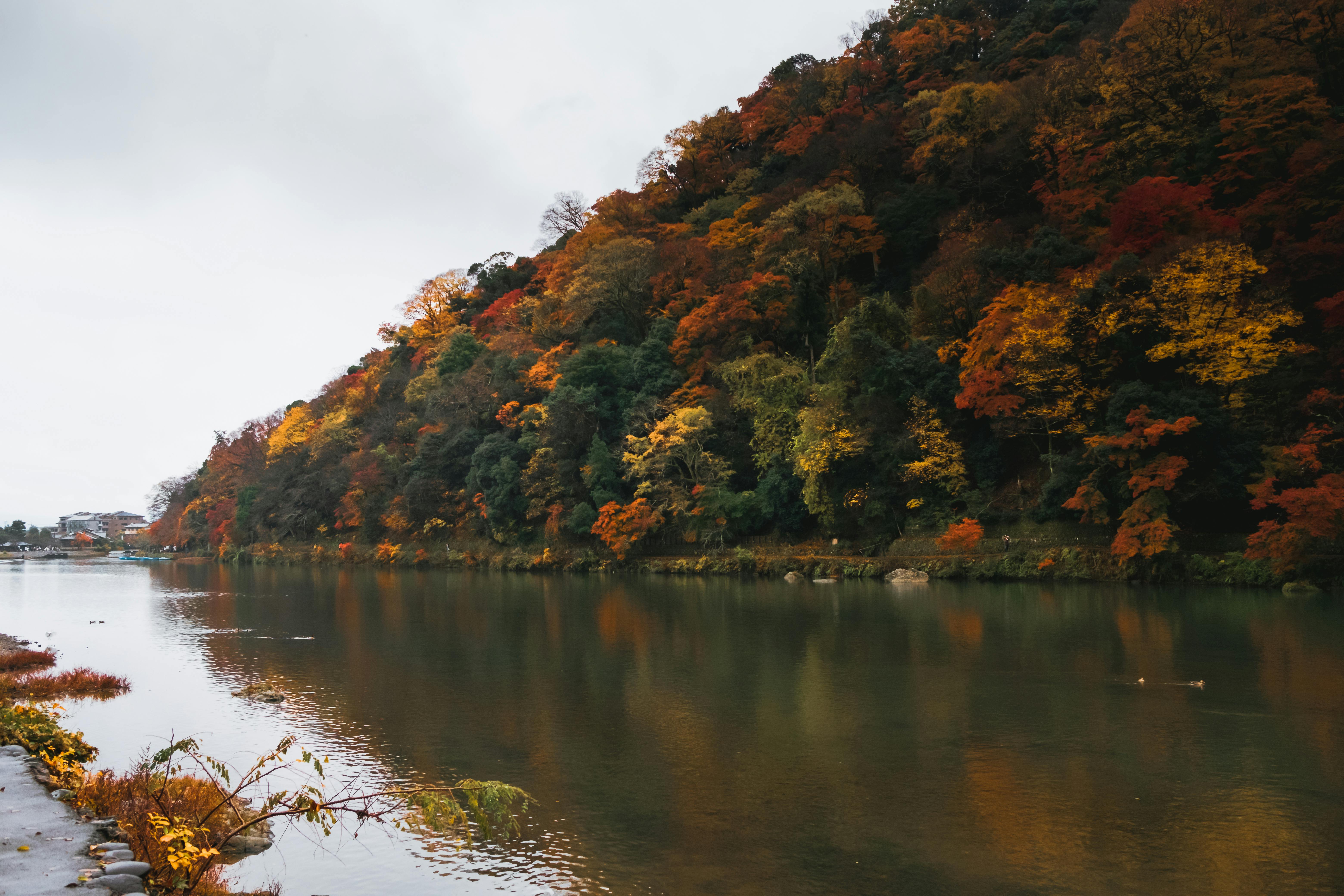 Autumn Beginning Photos, Download The BEST Free Autumn Beginning Stock ...