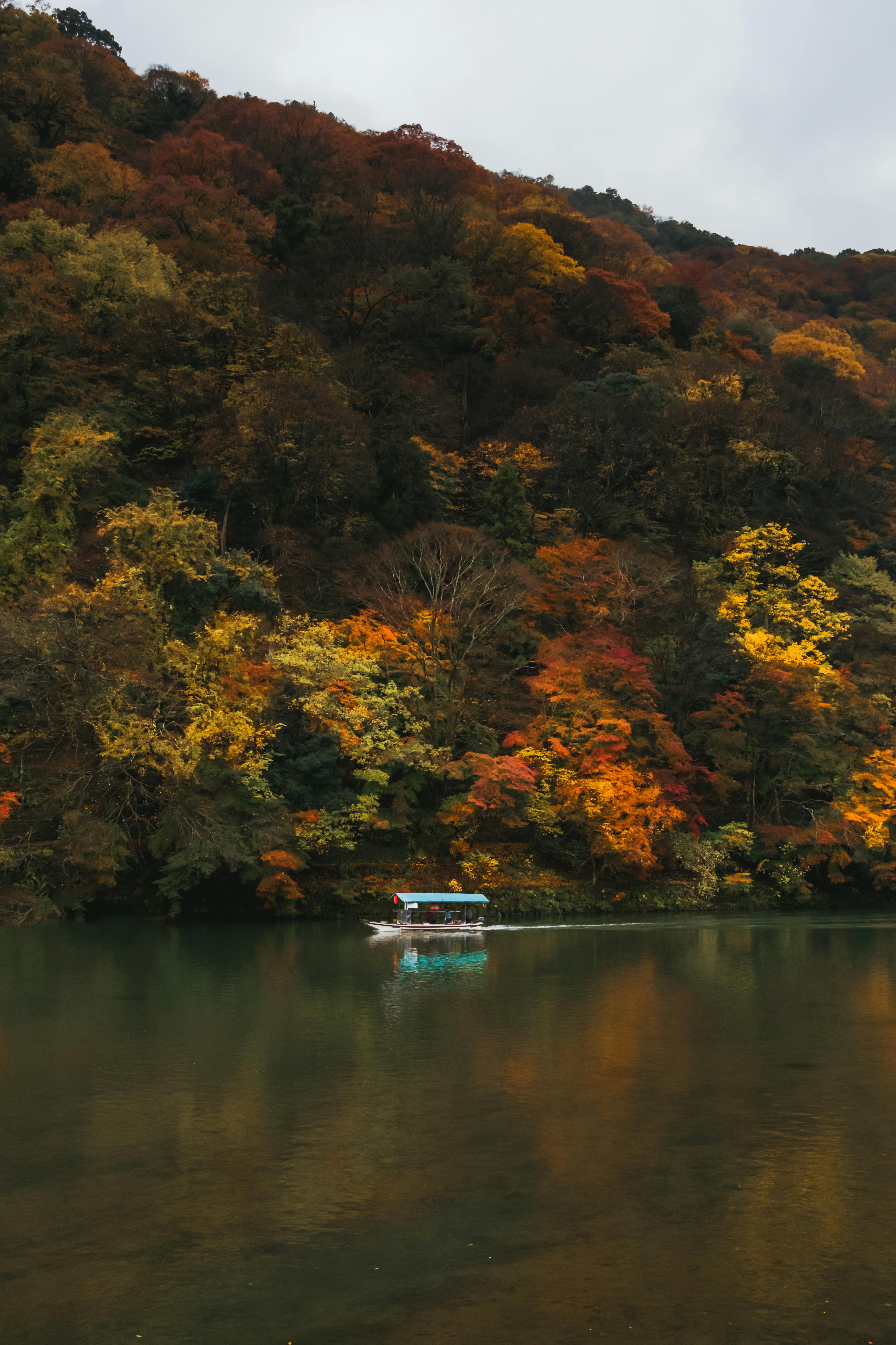 Autumn Beginning Photos, Download The BEST Free Autumn Beginning Stock ...