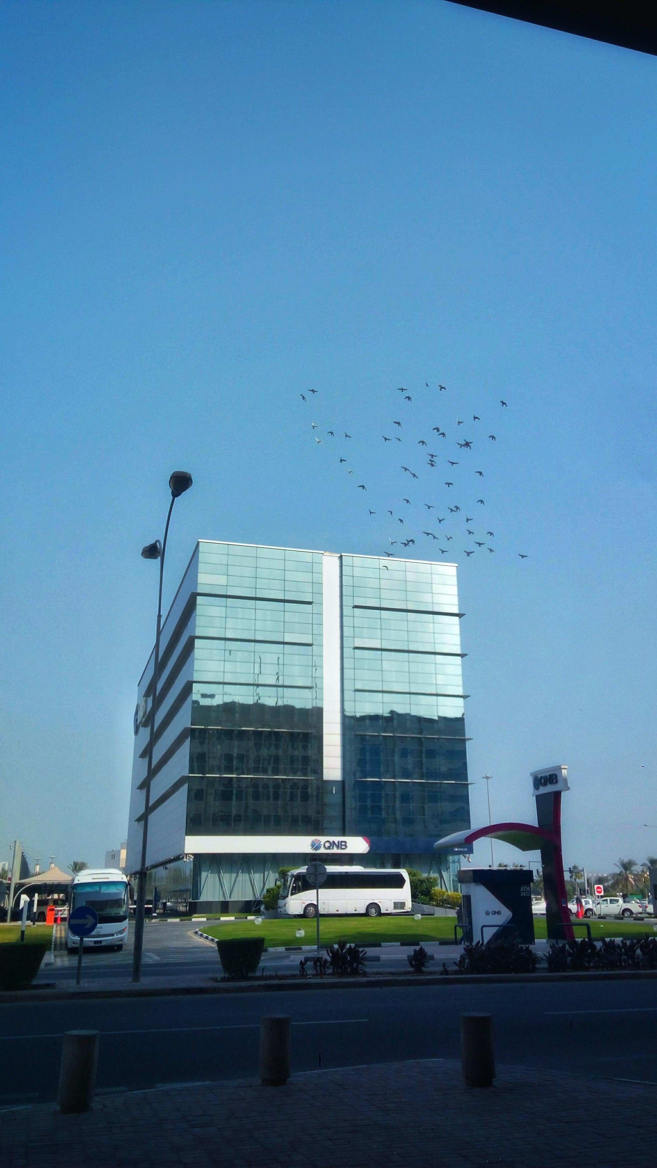 Hashim Abbas - 攝影