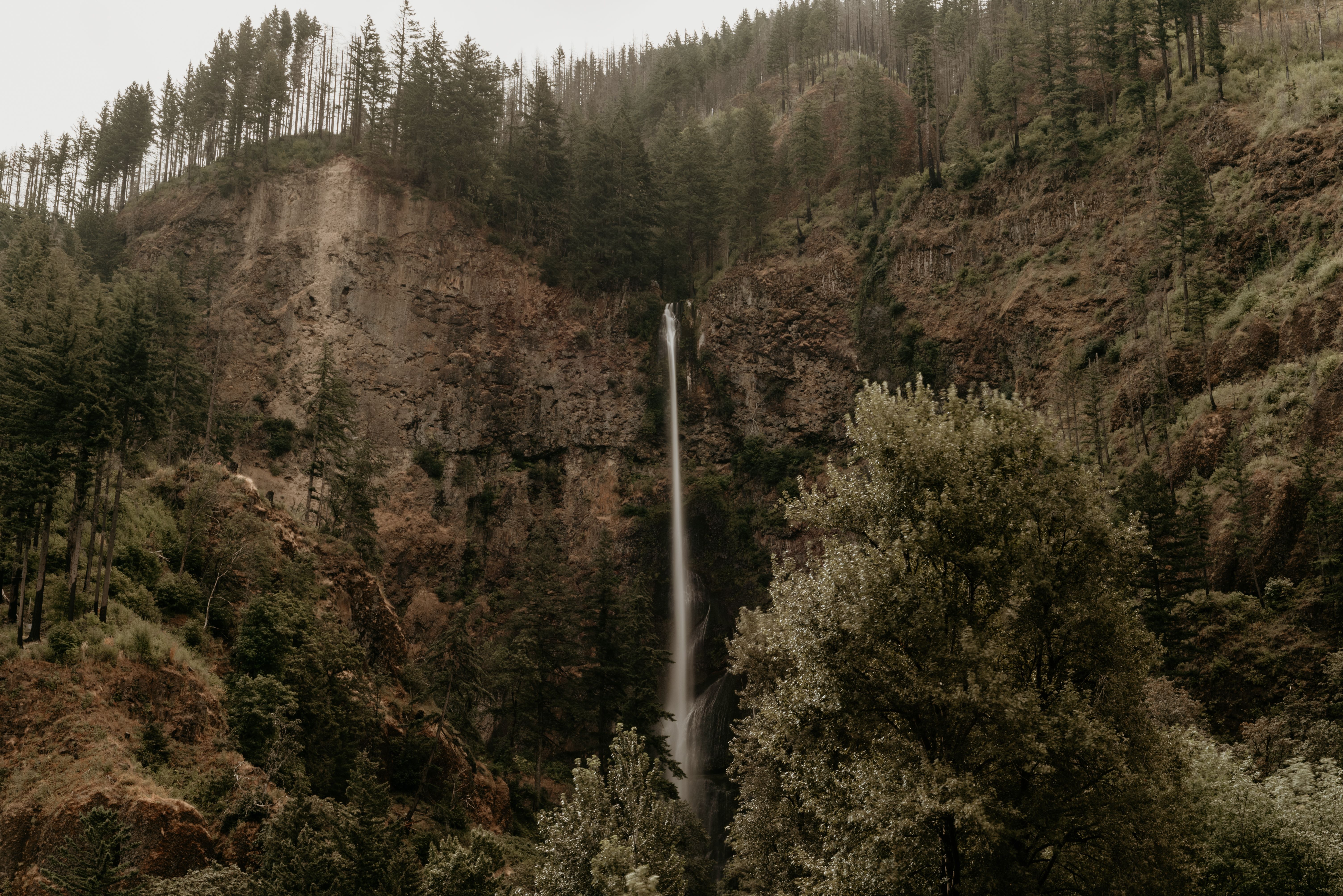 Foto de stock gratuita sobre acantilado, arboles, bosque, cascada ...