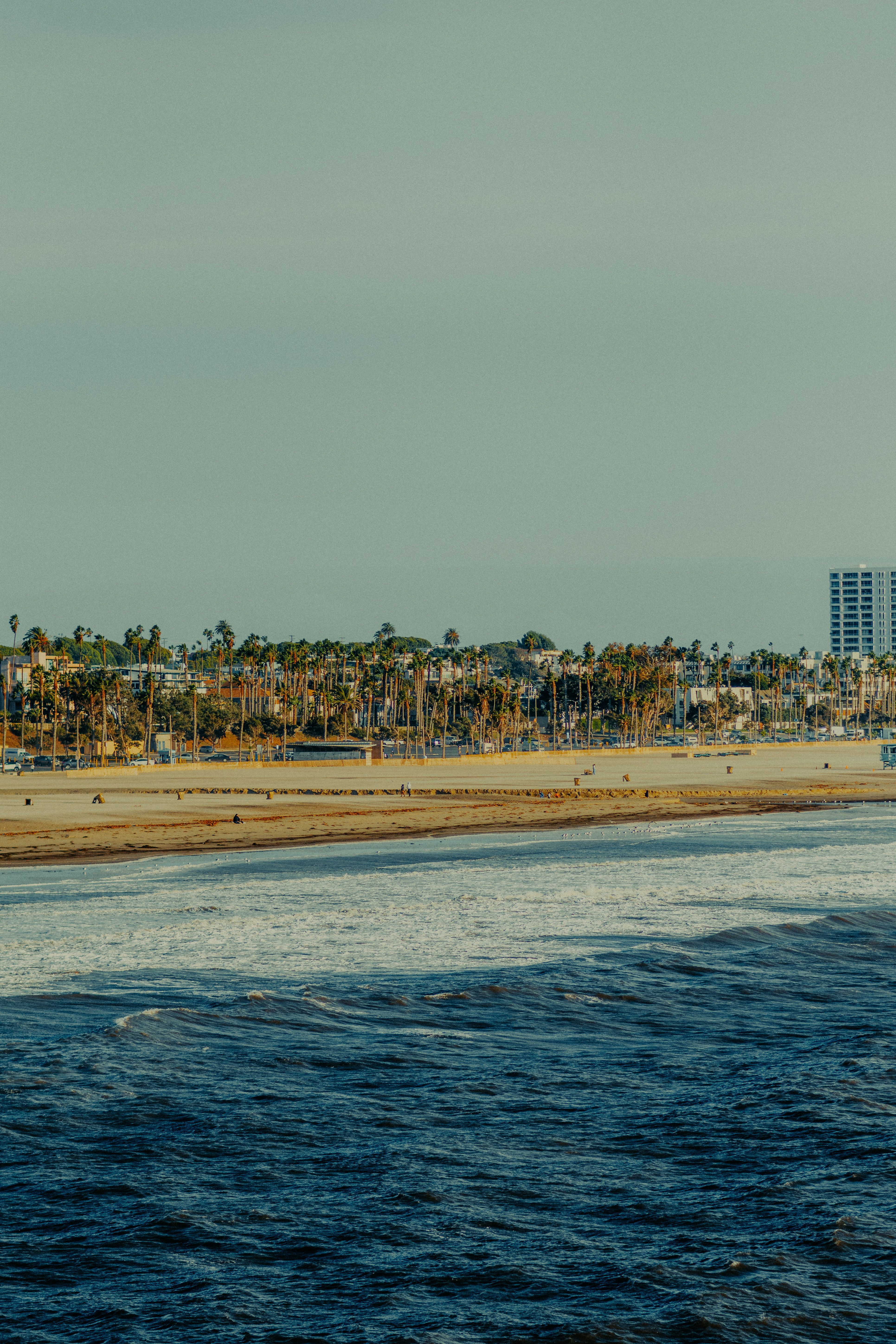 Socal Fotosok Photos, Download The BEST Free Socal Fotosok Stock Photos ...