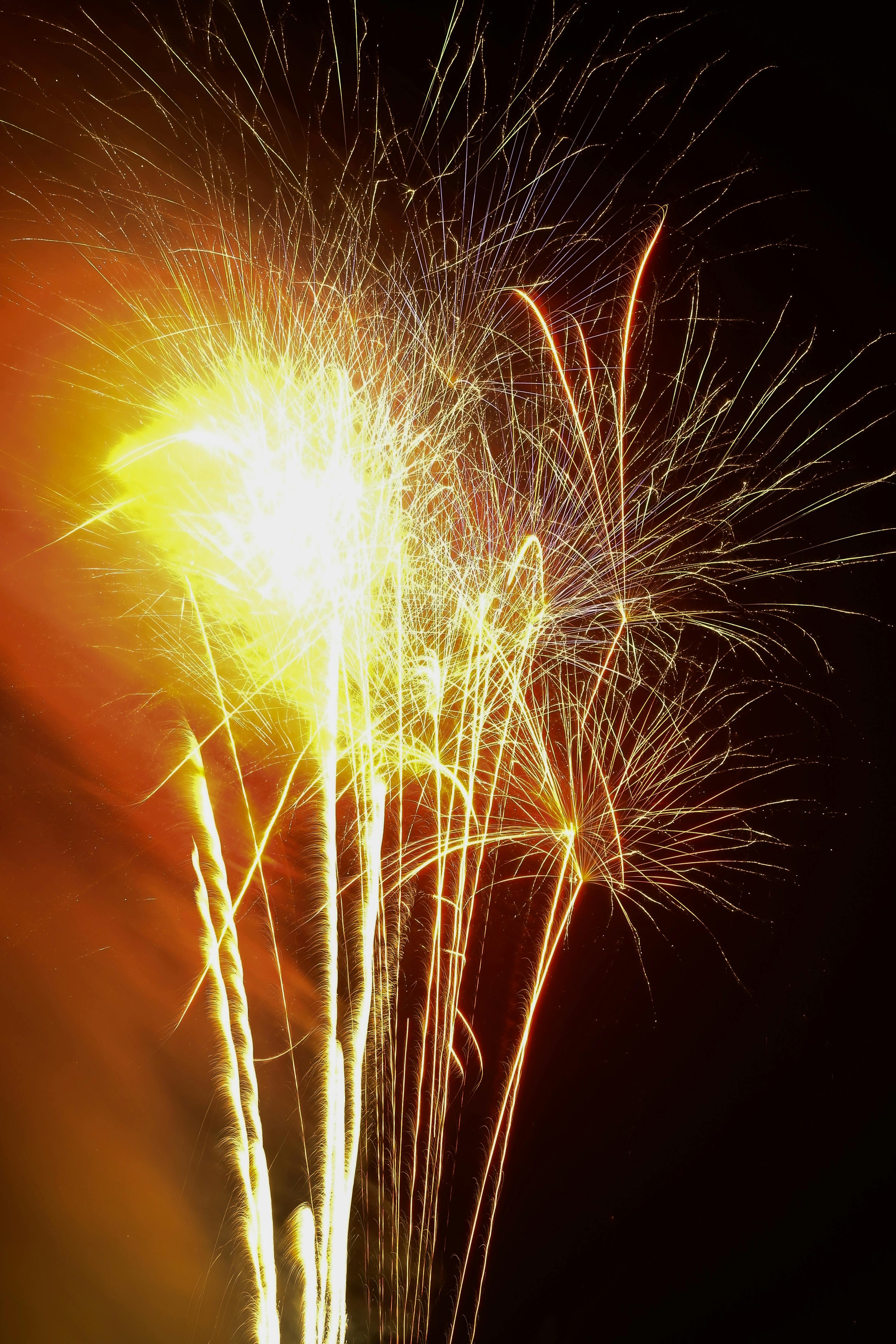 Fireworks over Sea · Free Stock Photo