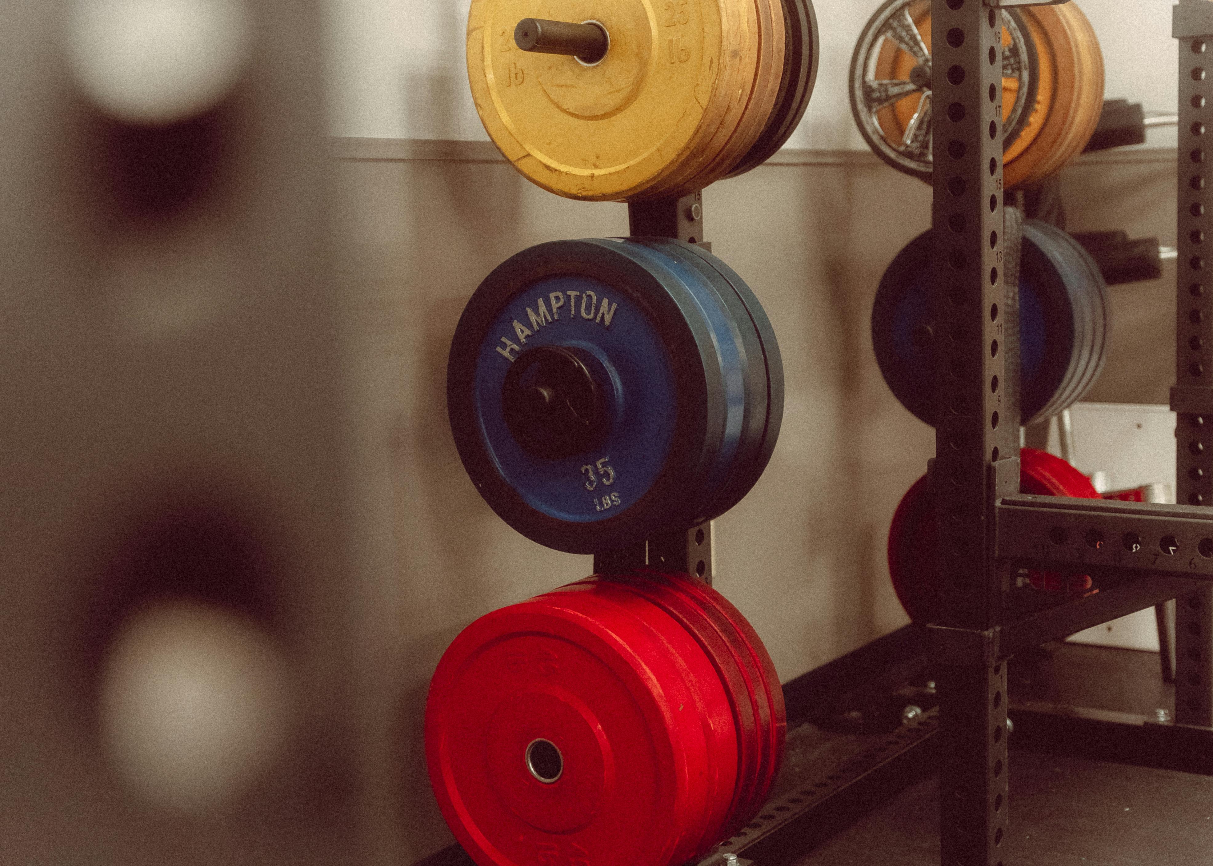 Hampton Weights on Gym · Free Stock Photo