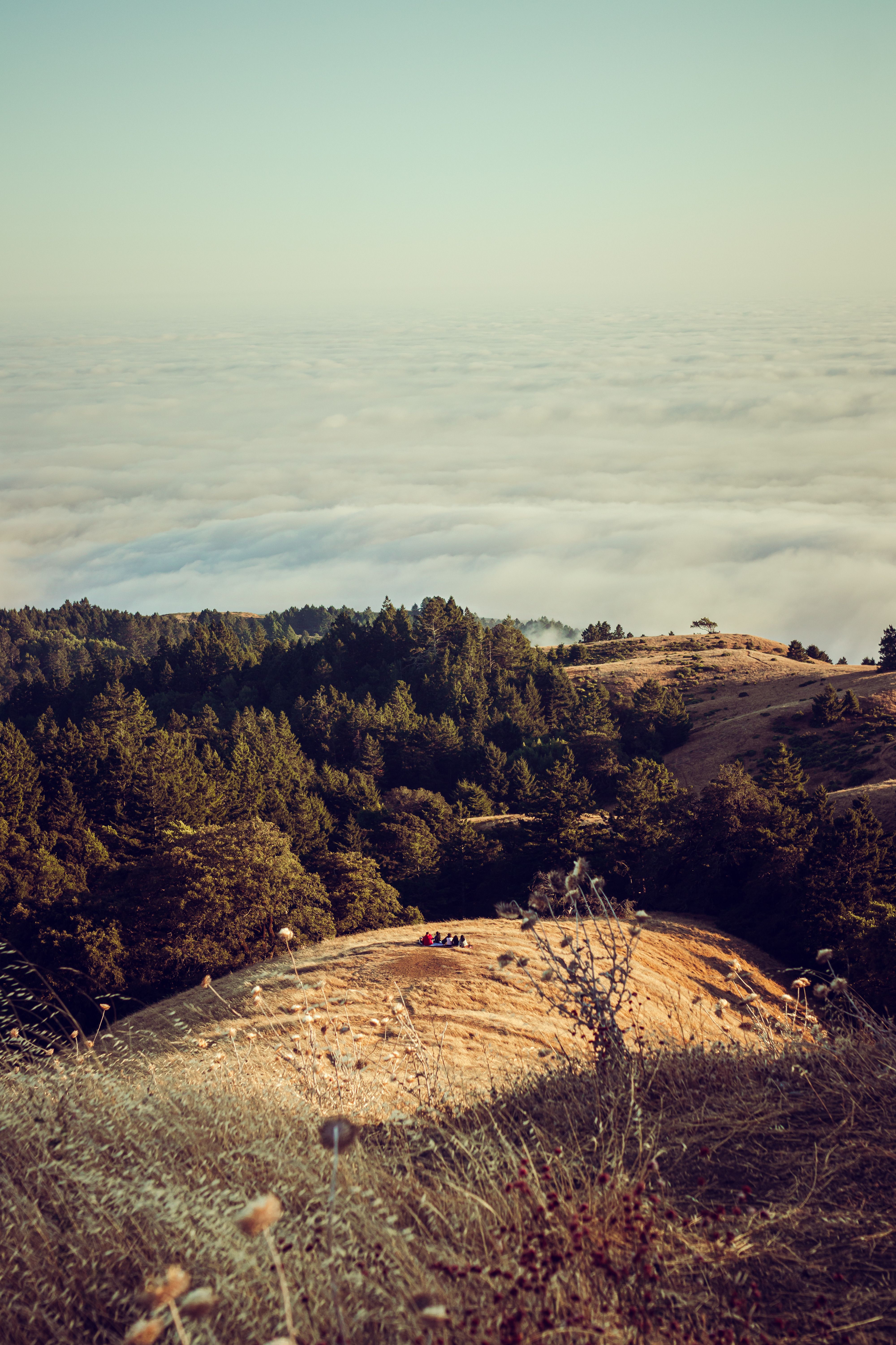 Forest on Hills and Clouds behind · Free Stock Photo