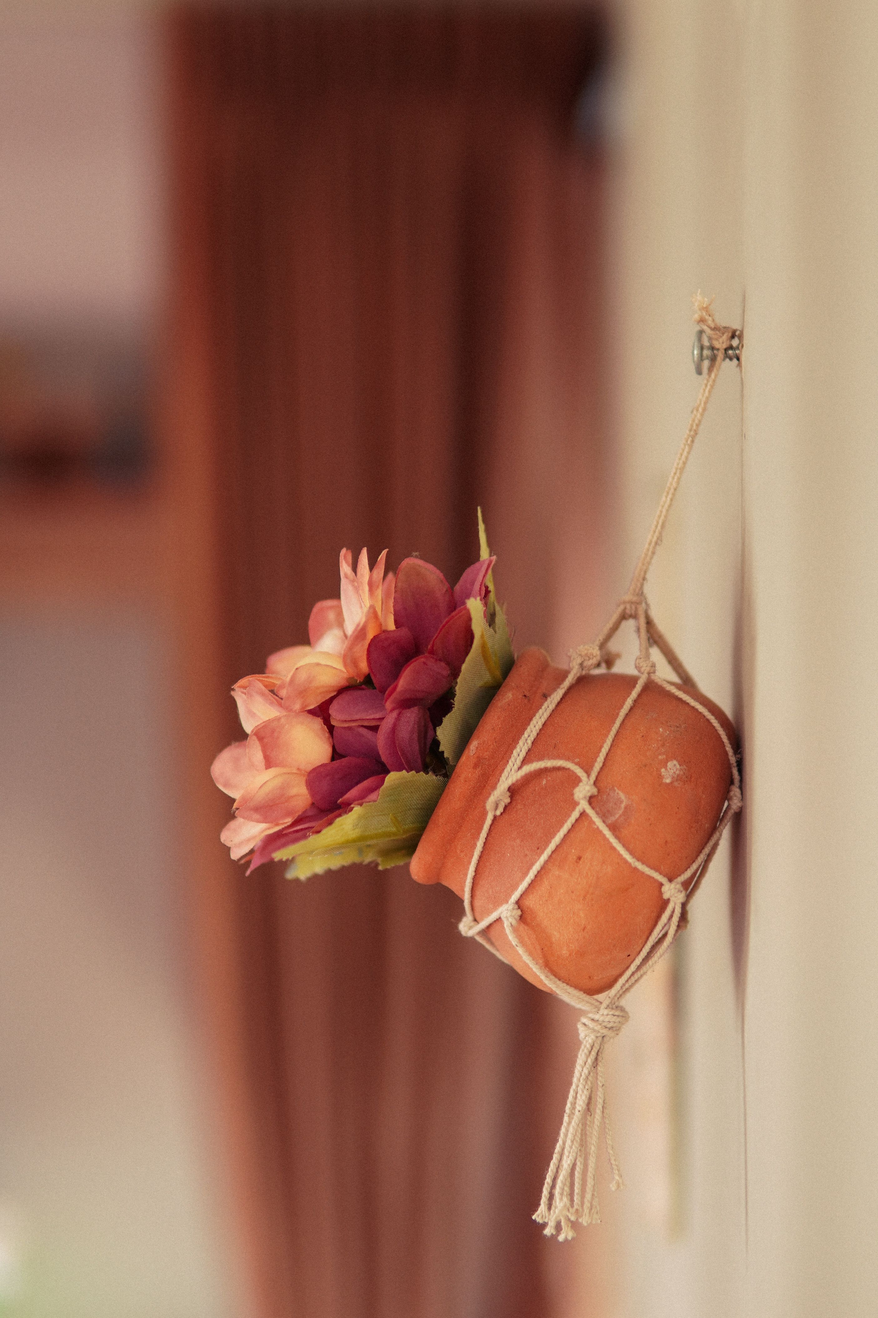 Planta En Maceta Colgada En La Pared · Foto de stock gratuita