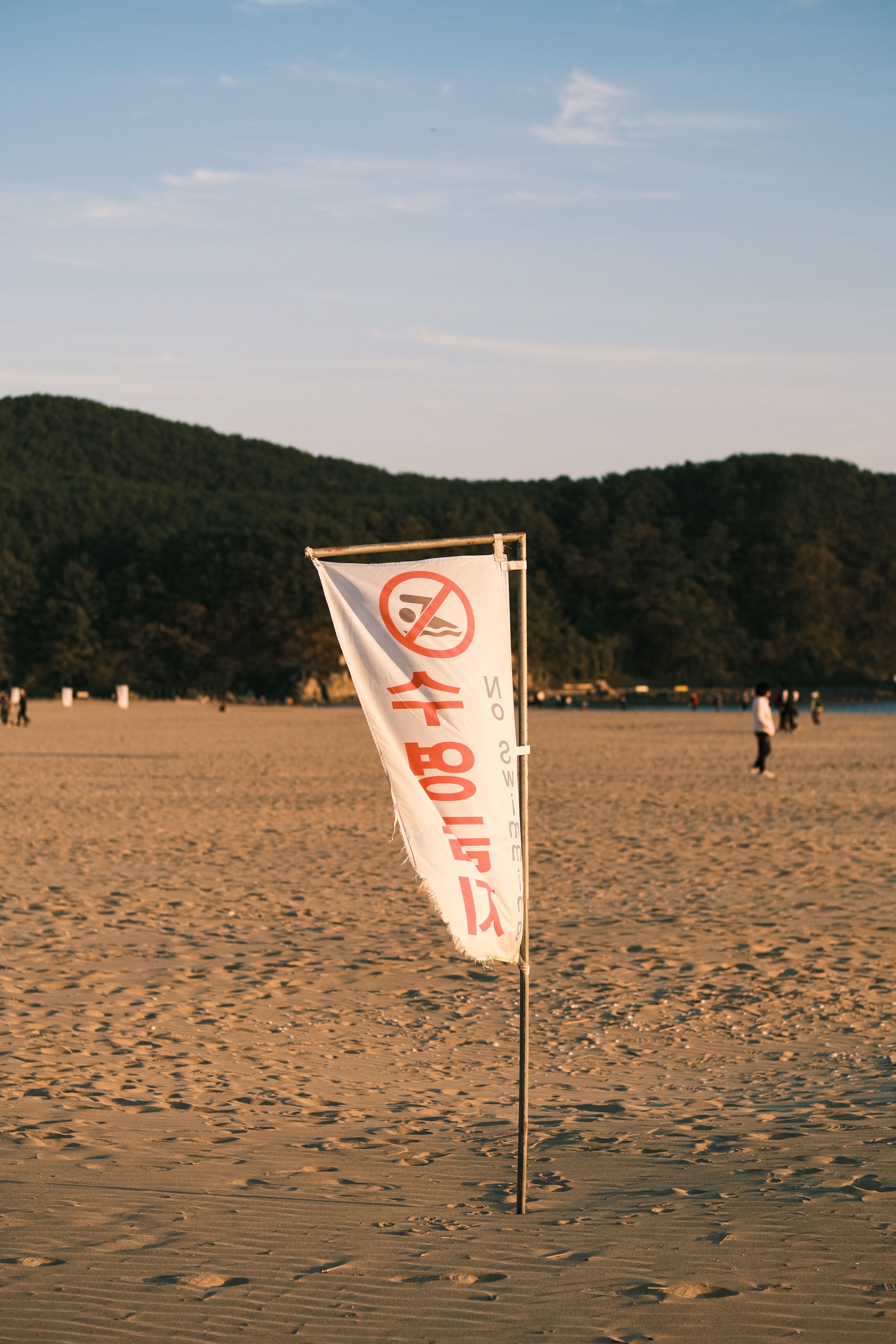 Warning Flag on Beach Sand · Free Stock Photo