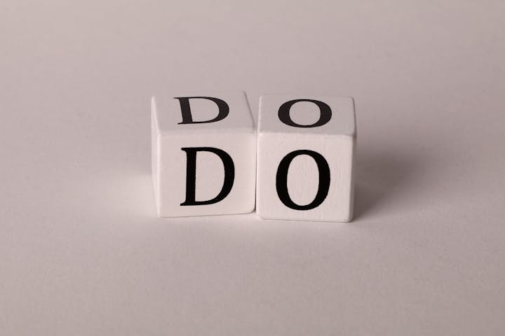 What Colors Do Rabbits Like? [Comprehensive Answer] - Nahf.org