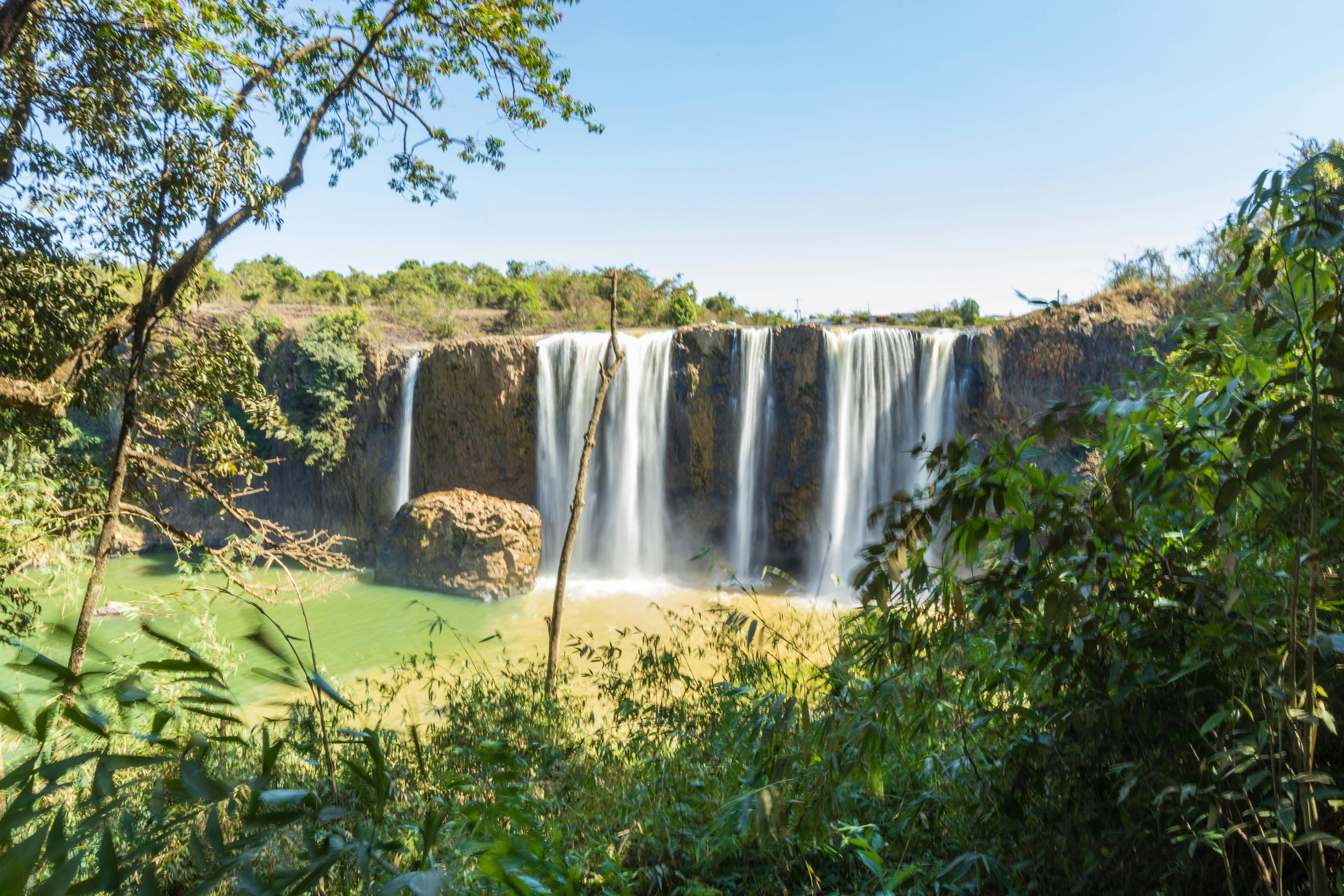 Trees around Waterfall · Free Stock Photo