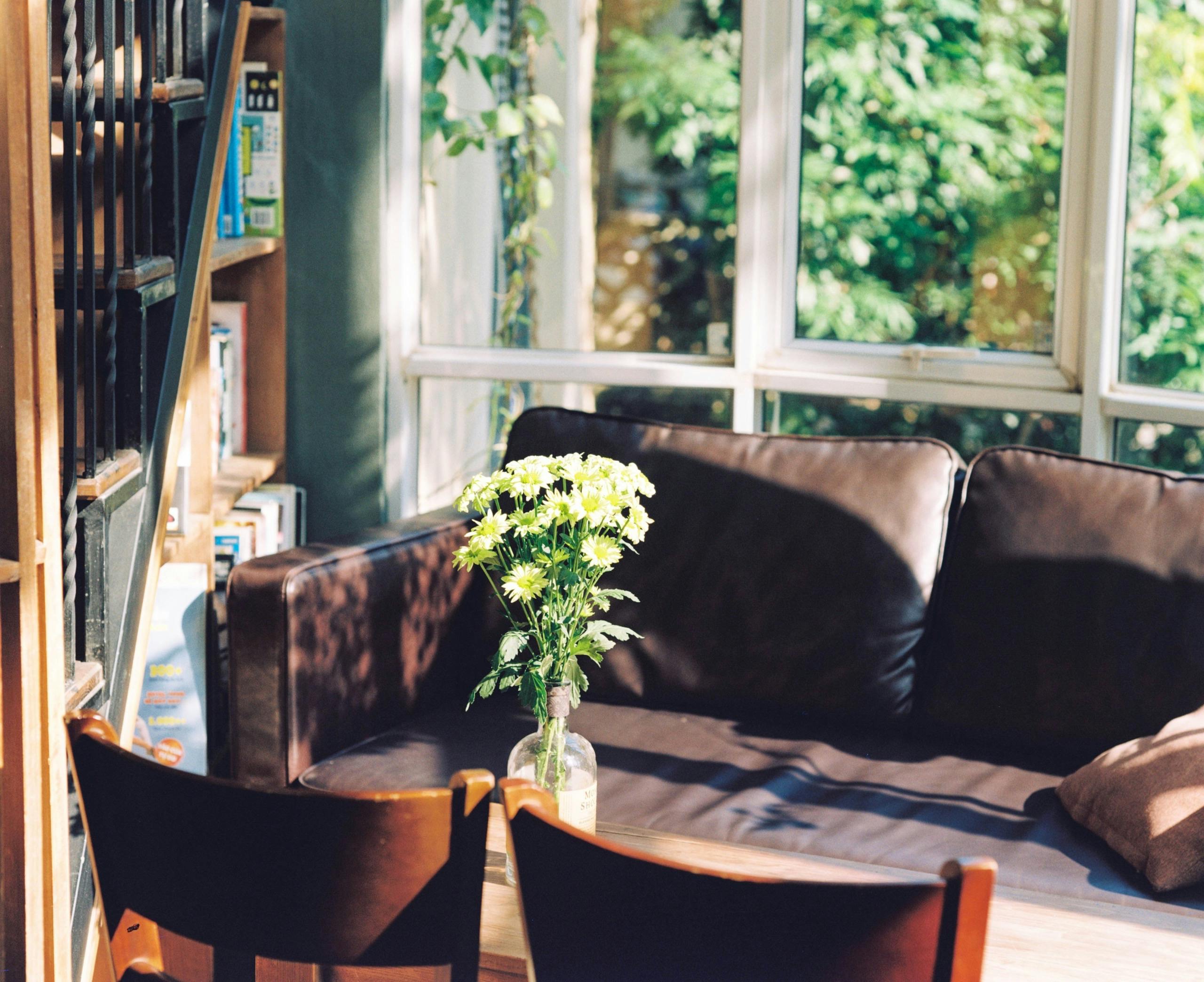 Brown Leather Sofa Beside the Window · Free Stock Photo