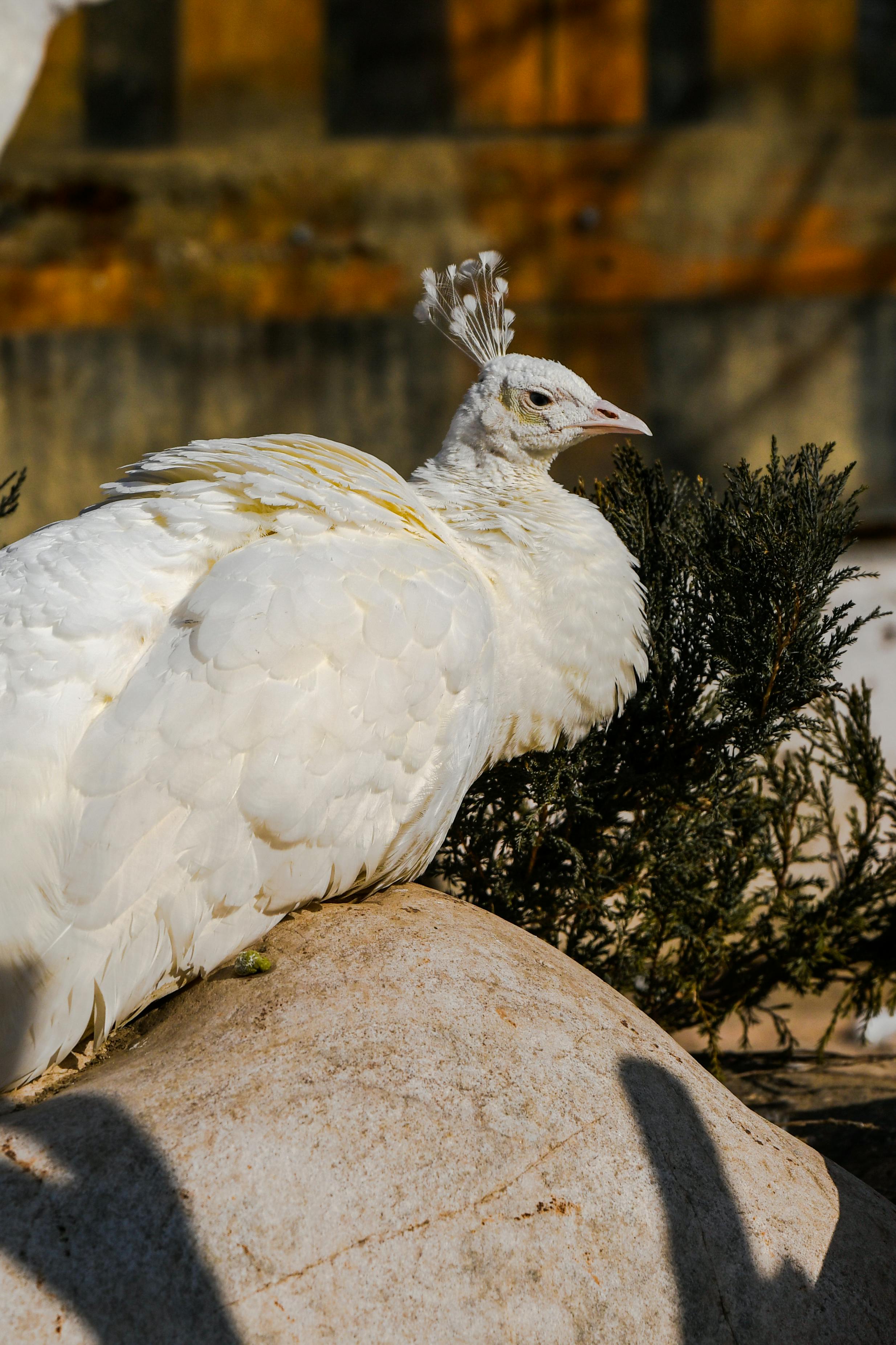 Lock Screen Anime Photos, Download The BEST Free Lock Screen Anime ...