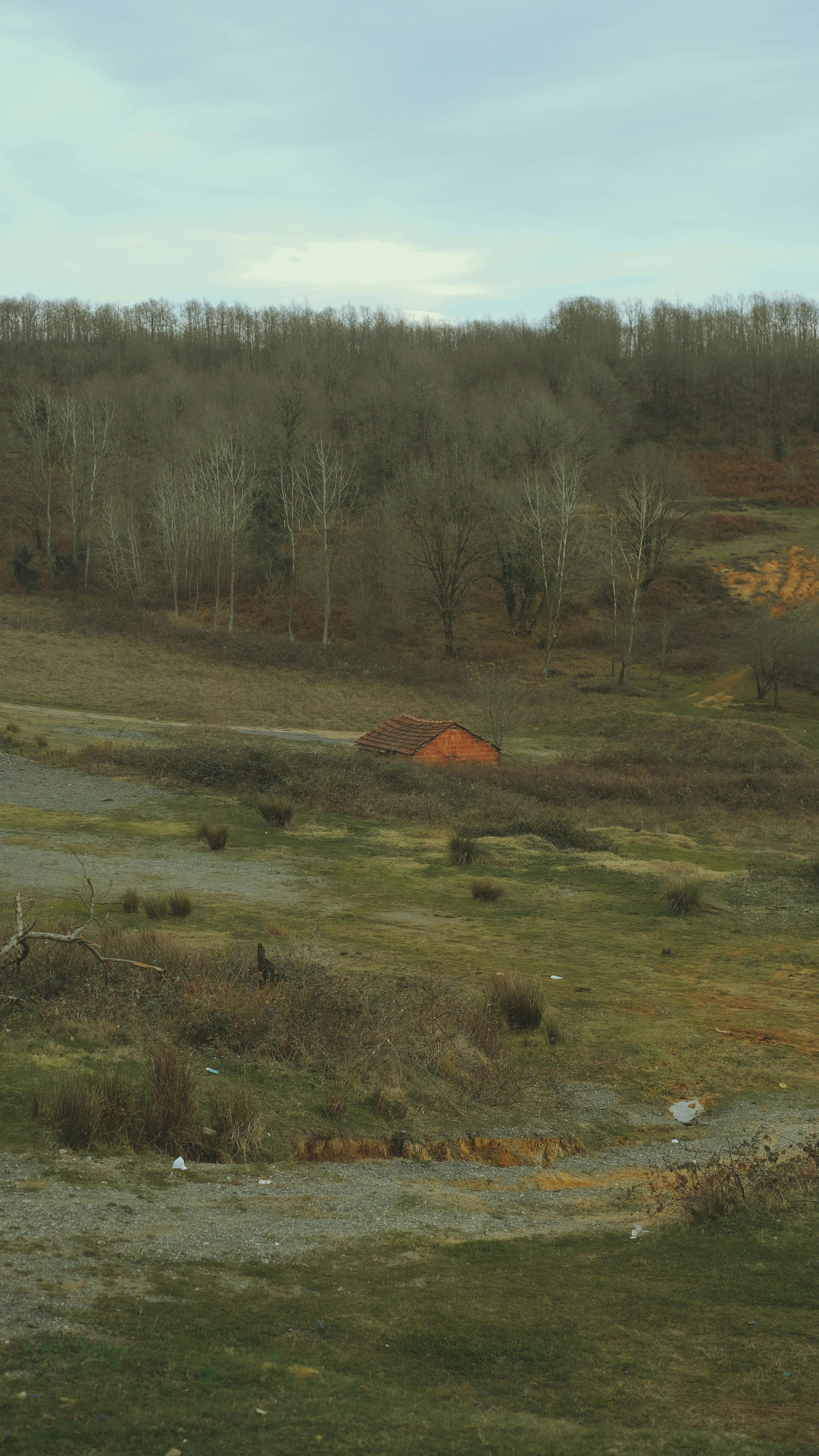 Overcast over Plains and Forest · Free Stock Photo