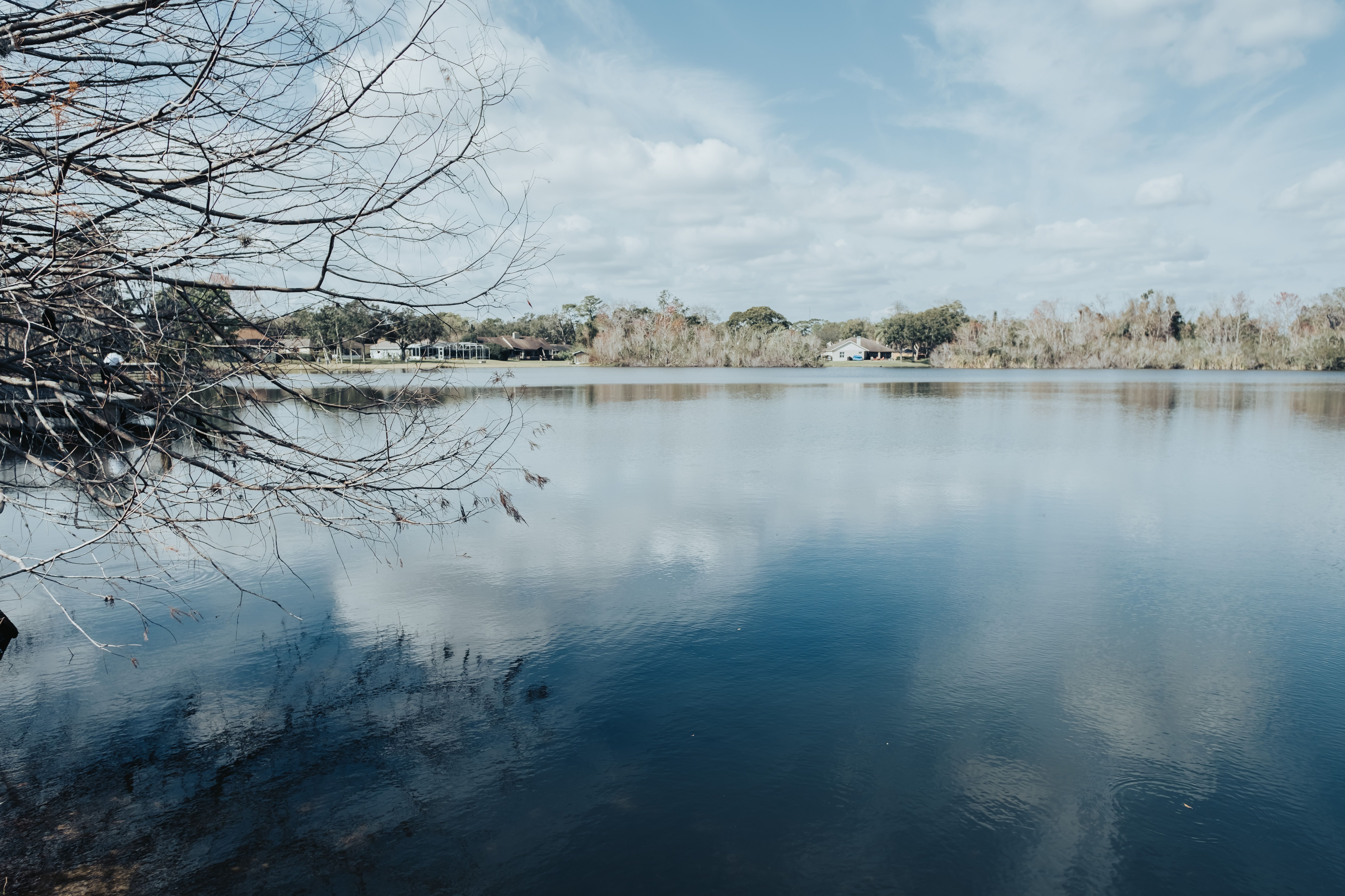 Lakehouses seen from across the Lake · Free Stock Photo