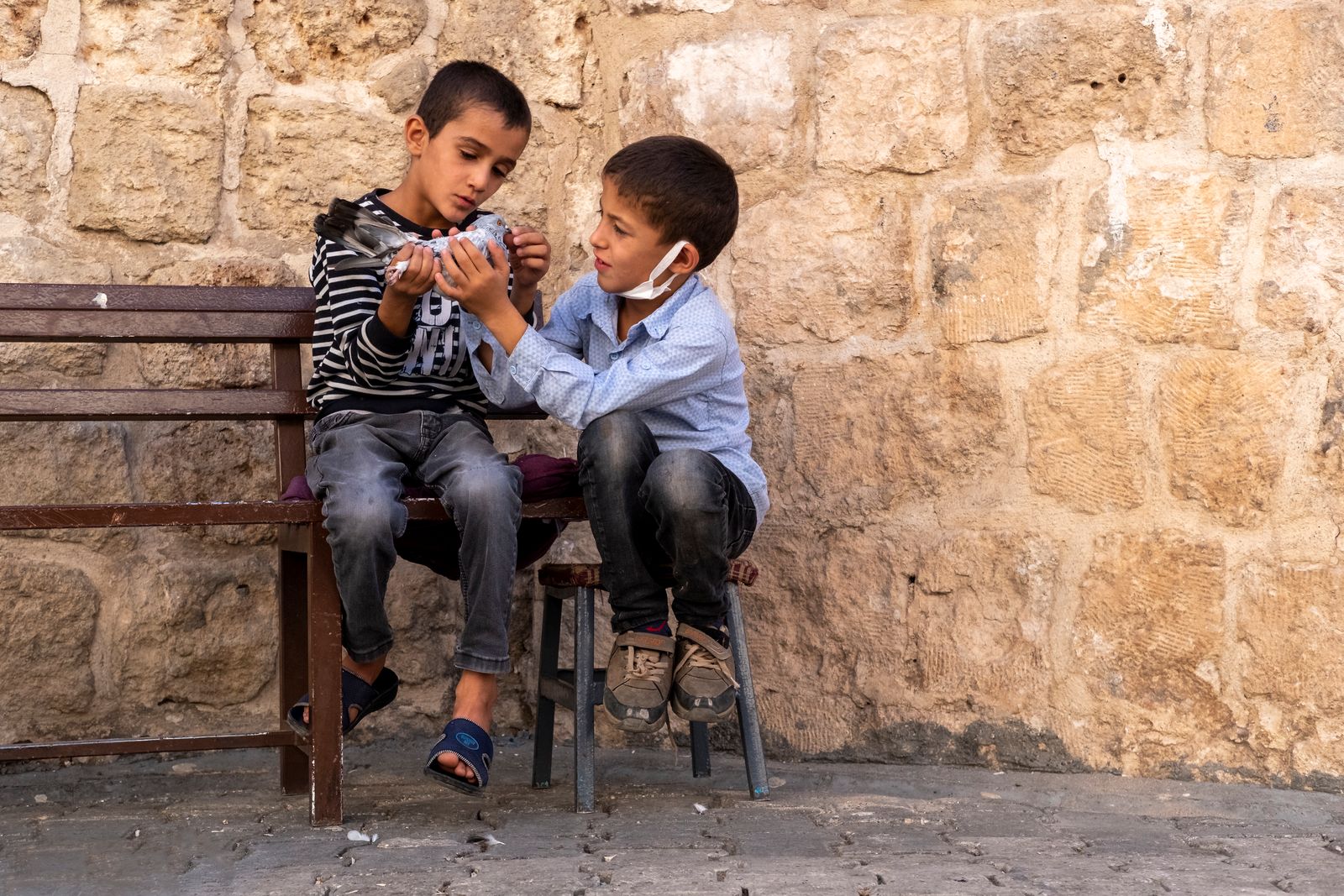 Pigeon Kids Photos, Download The BEST Free Pigeon Kids Stock Photos ...