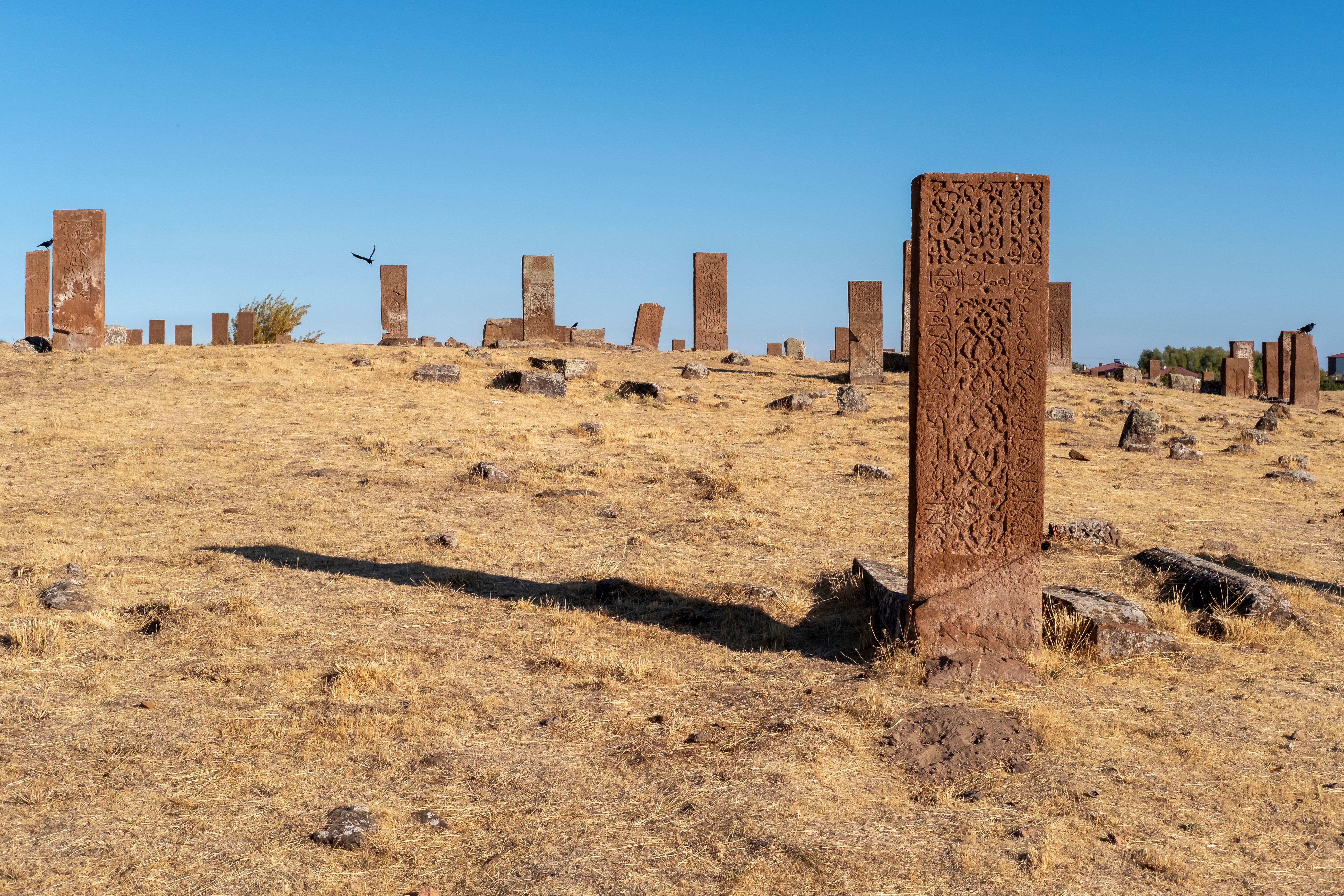 View of Graves at an Old Cemetery under Blue Sky · Free Stock Photo