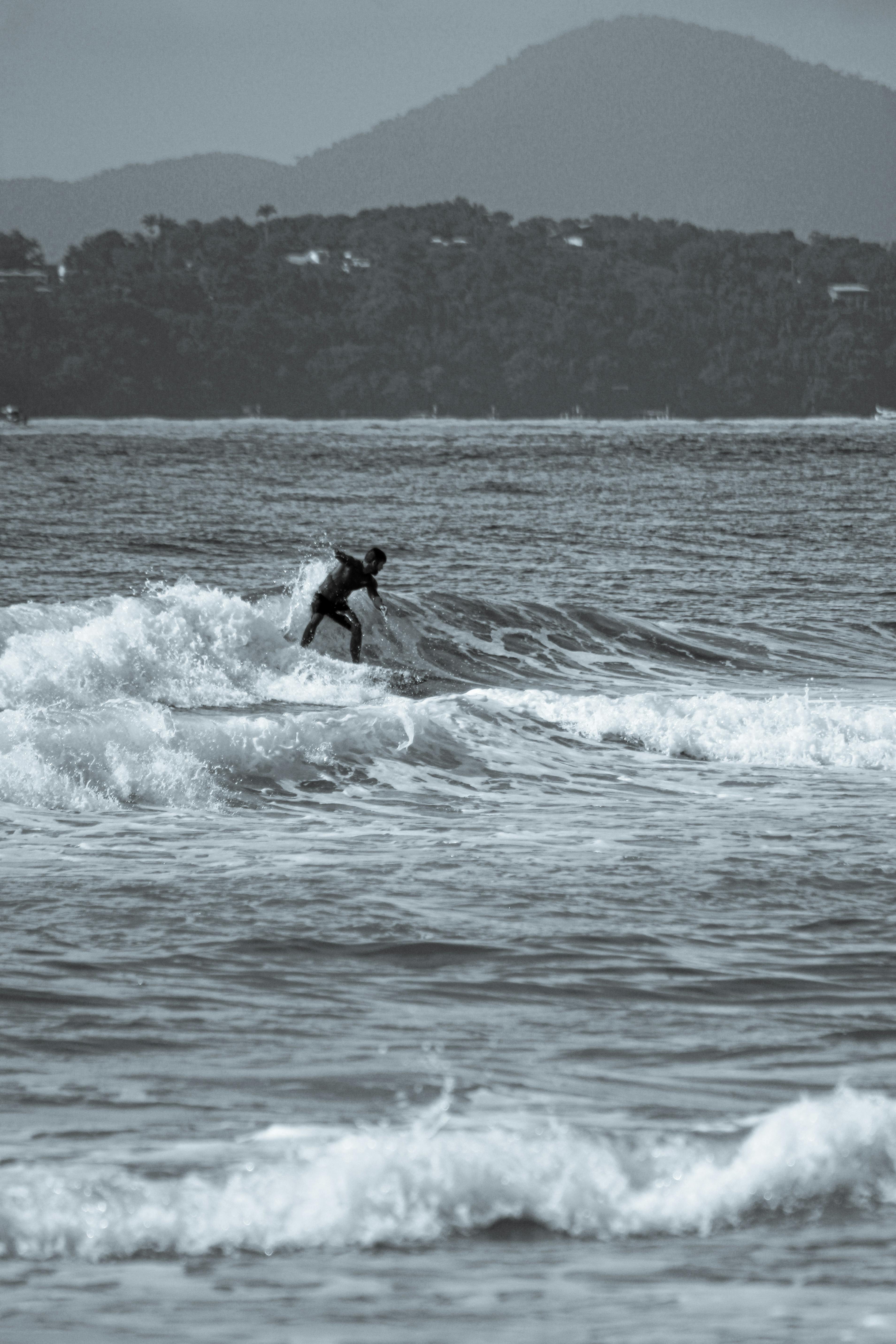 Surfers on Wave on Sea Coast · Free Stock Photo
